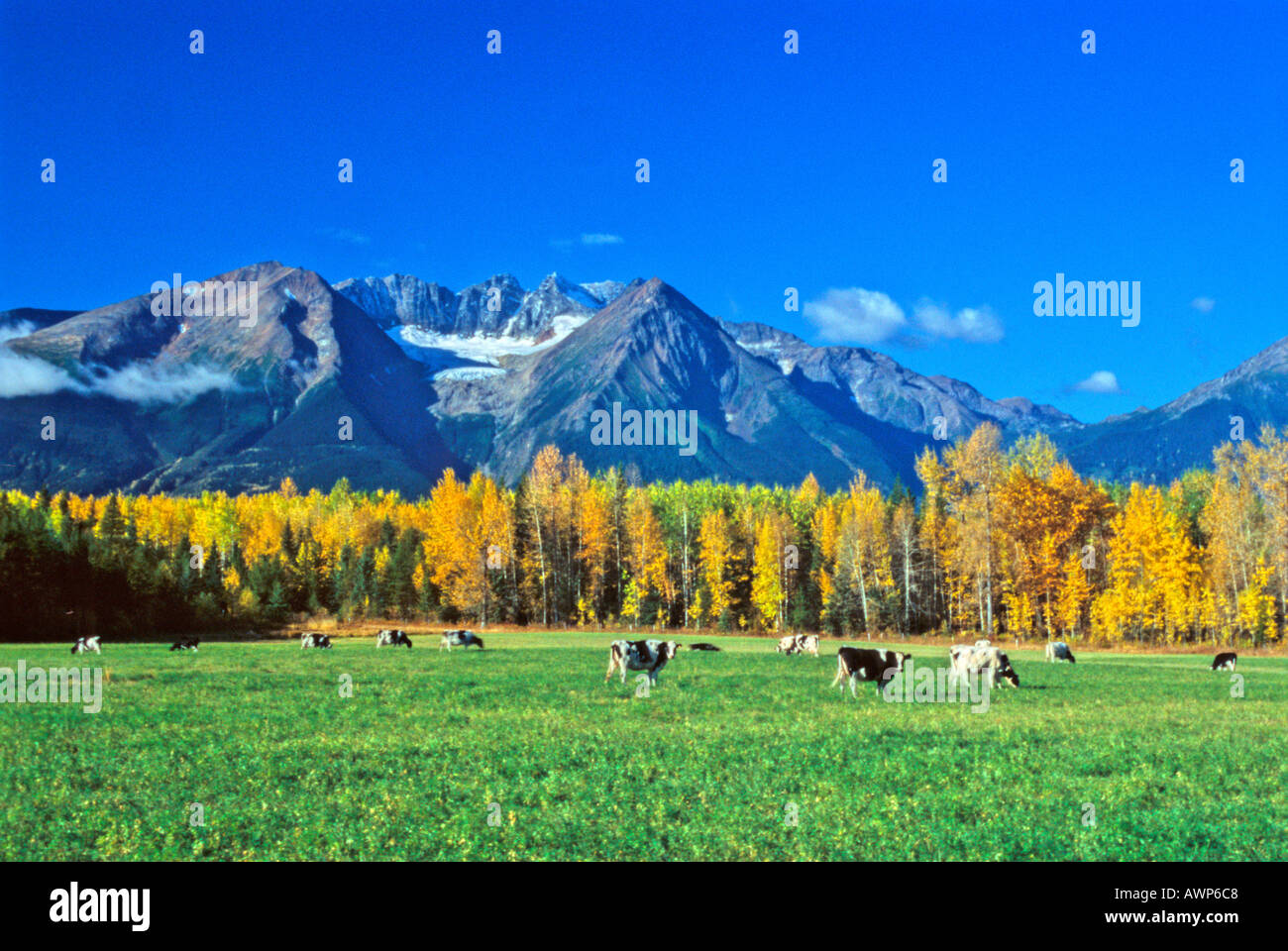 Hudson bay mountains and glacier hi-res stock photography and images ...