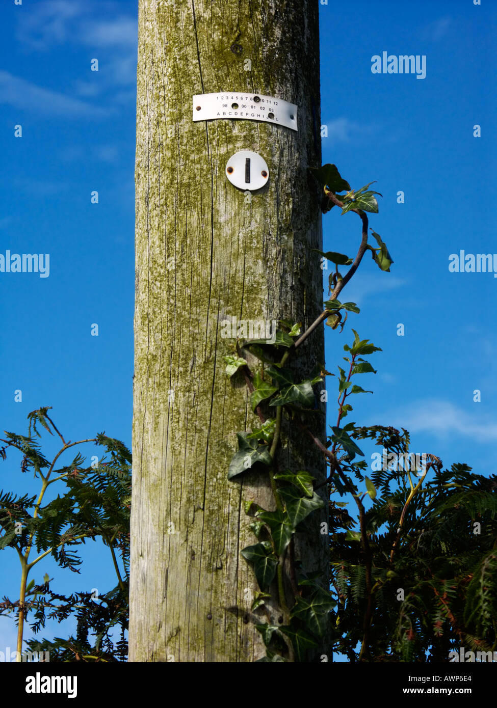 Telegraph and telephone hi-res stock photography and images - Alamy