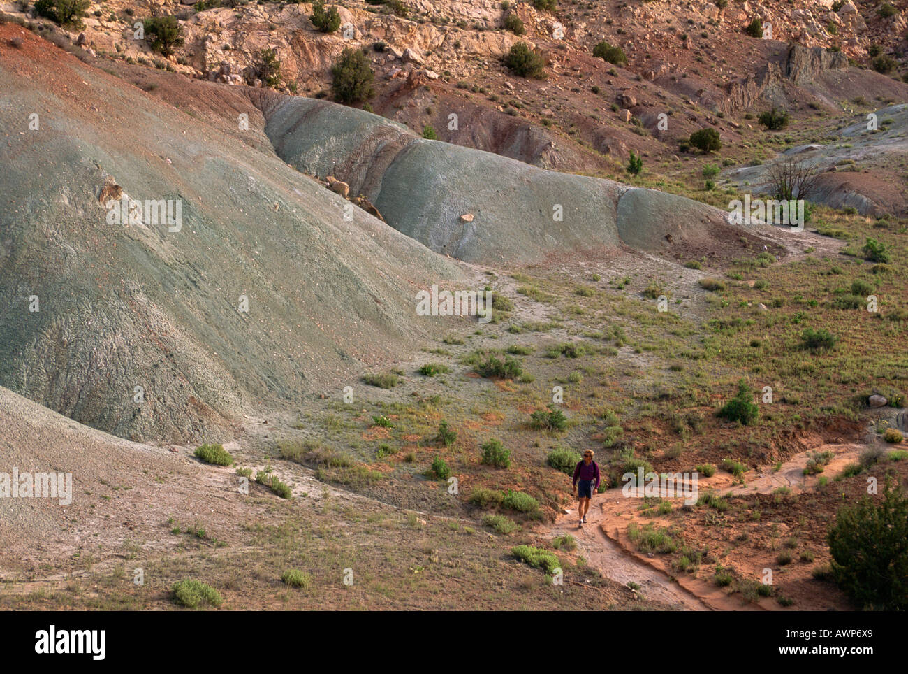 The Painted Desert in Arches National Park Utah United States Stock ...