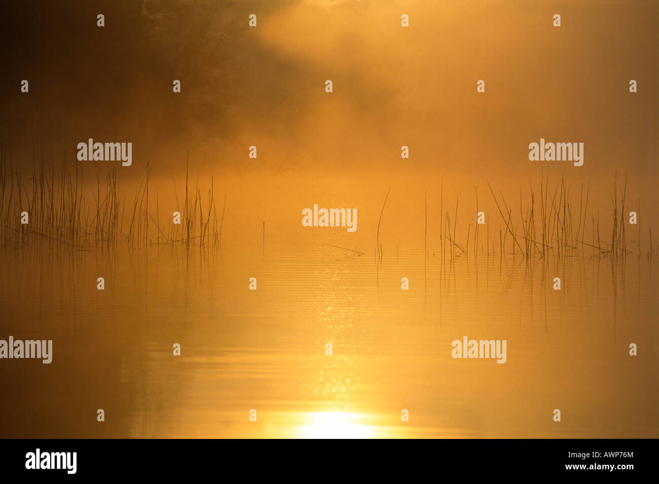 Sunrise over Reintaler See (Reintal Lake), North Tirol, Austria, Europe ...