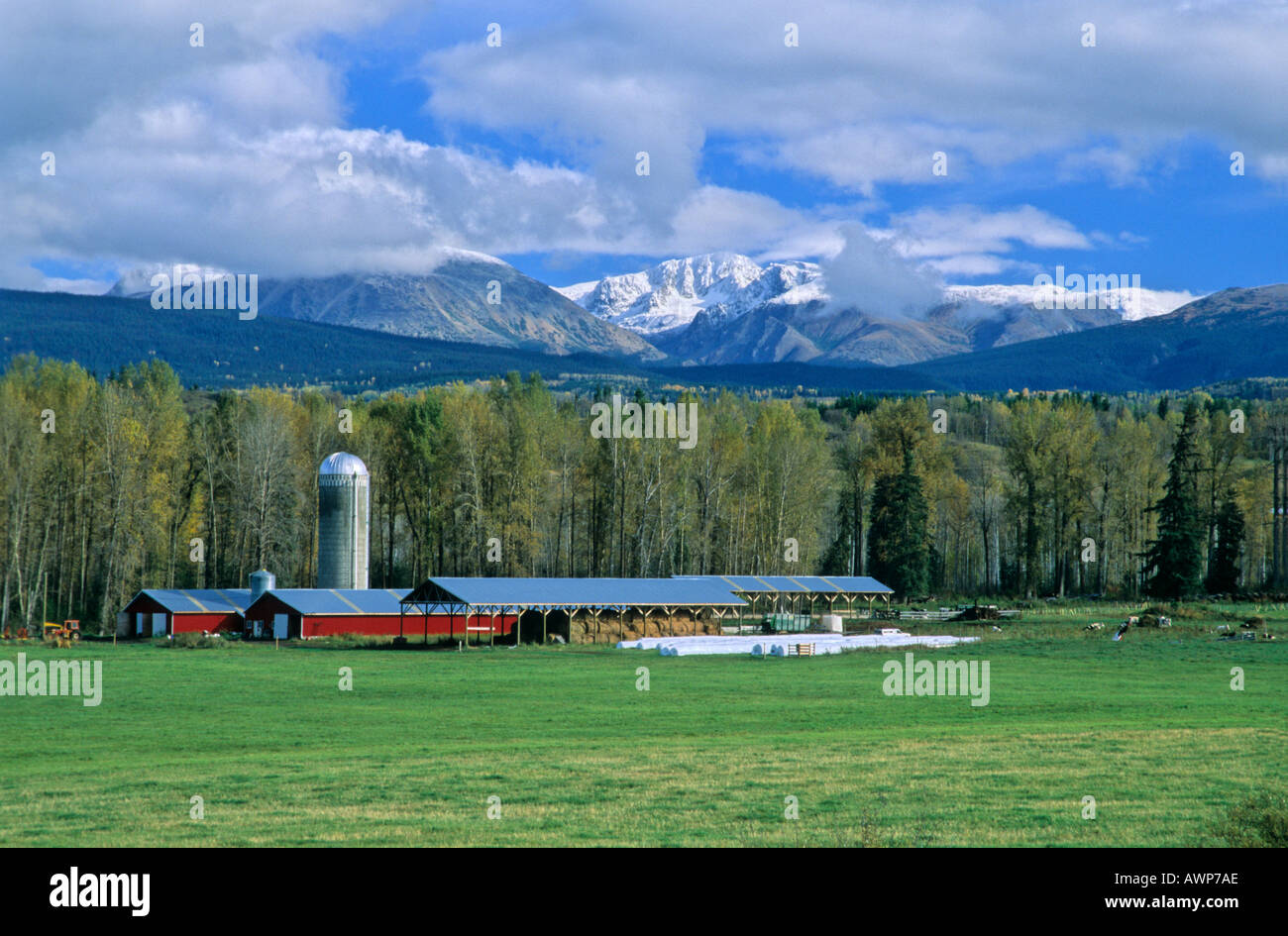 British farm scene hi-res stock photography and images - Alamy