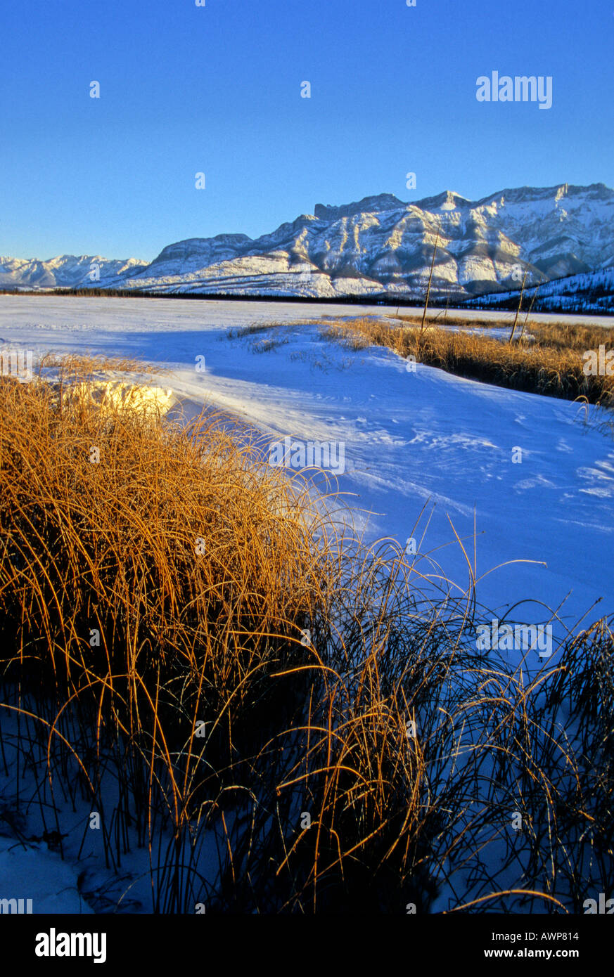 Talbot Lake and Miette Mountain range Stock Photo - Alamy