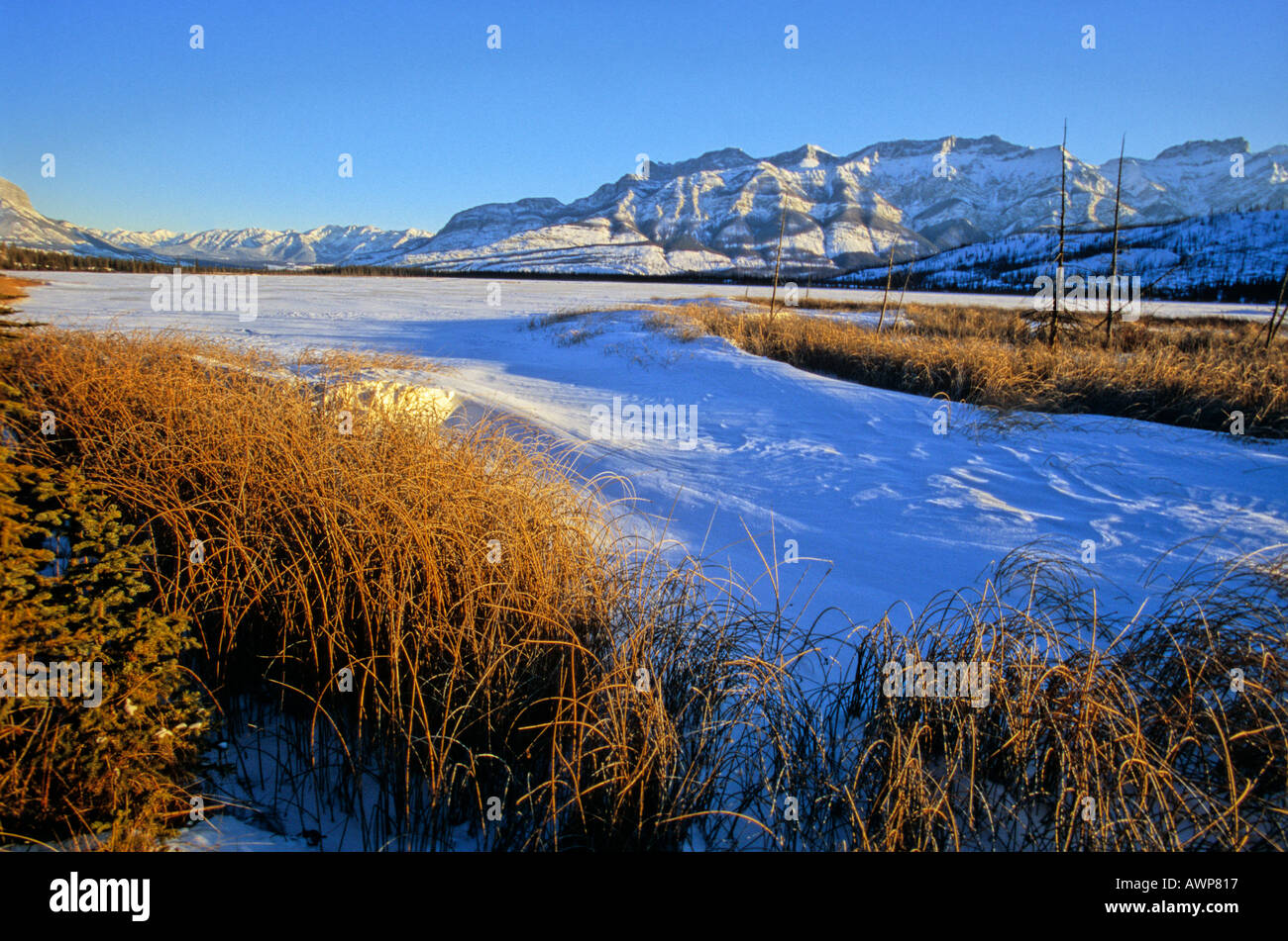 Talbot Lake and Miette Mountain range Stock Photo - Alamy