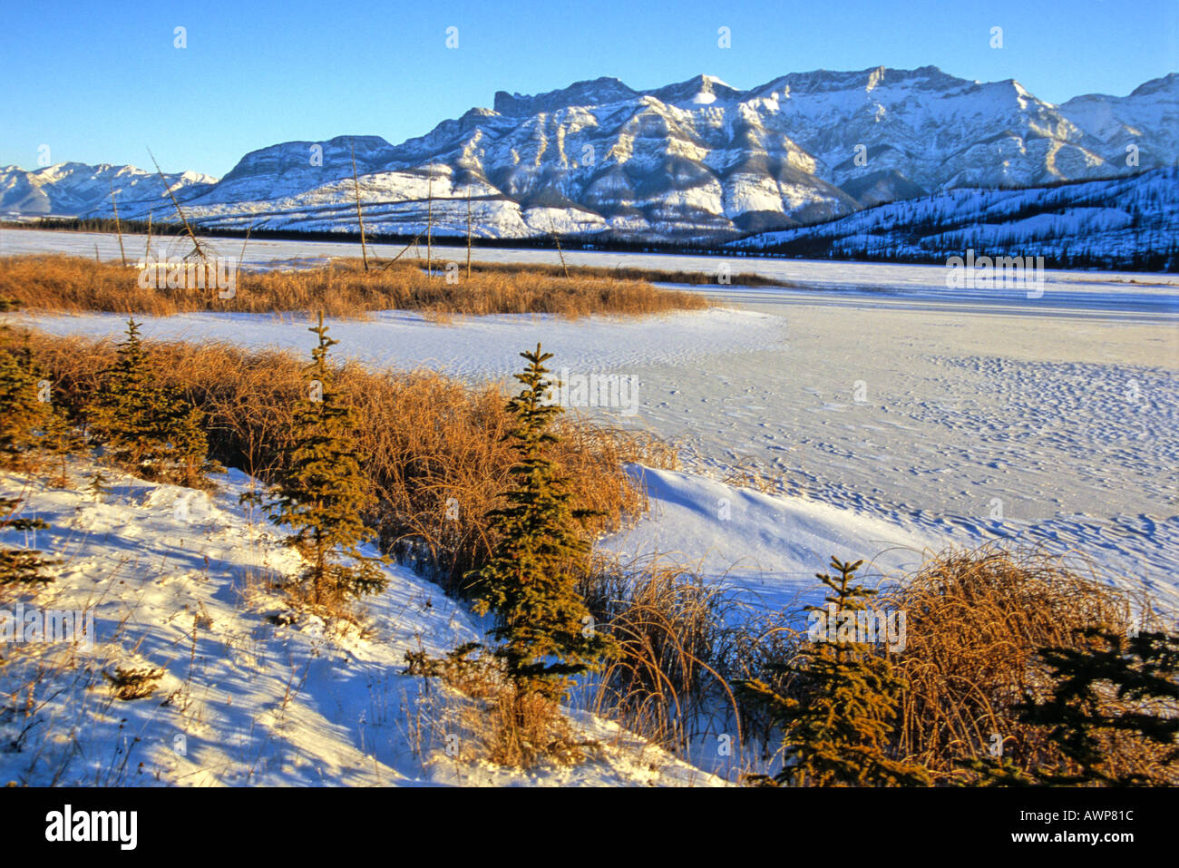 Miette range talbot lake winter hi-res stock photography and images - Alamy