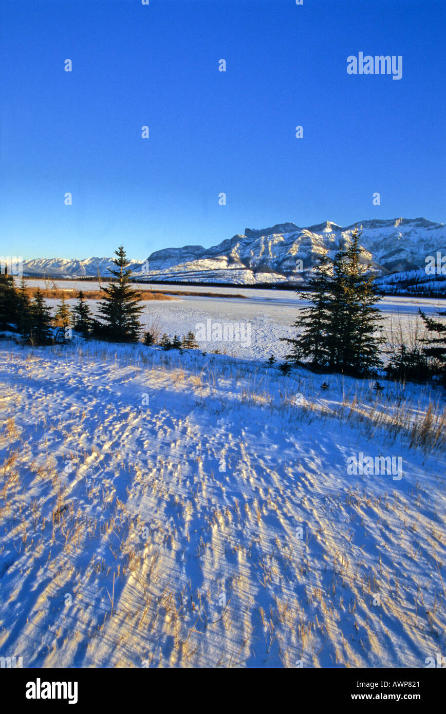 Miette range talbot lake winter hi-res stock photography and images - Alamy