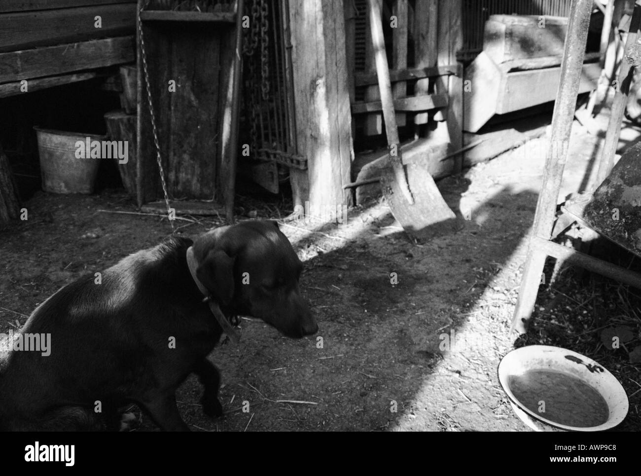 Wait region Black and White Stock Photos & Images - Alamy