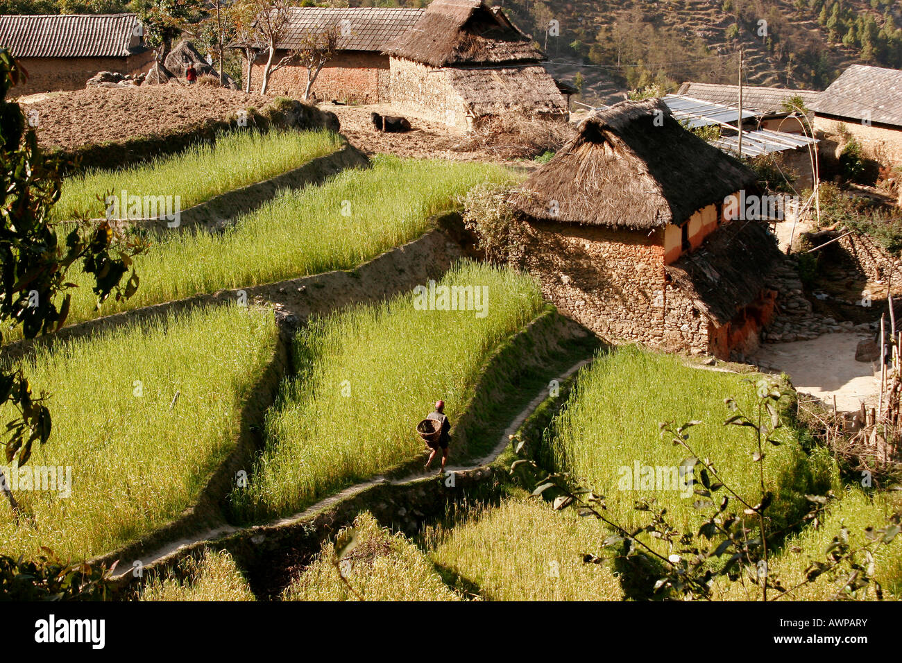Remote mountain village near Nagarkot, Nepal, Asia Stock Photo - Alamy