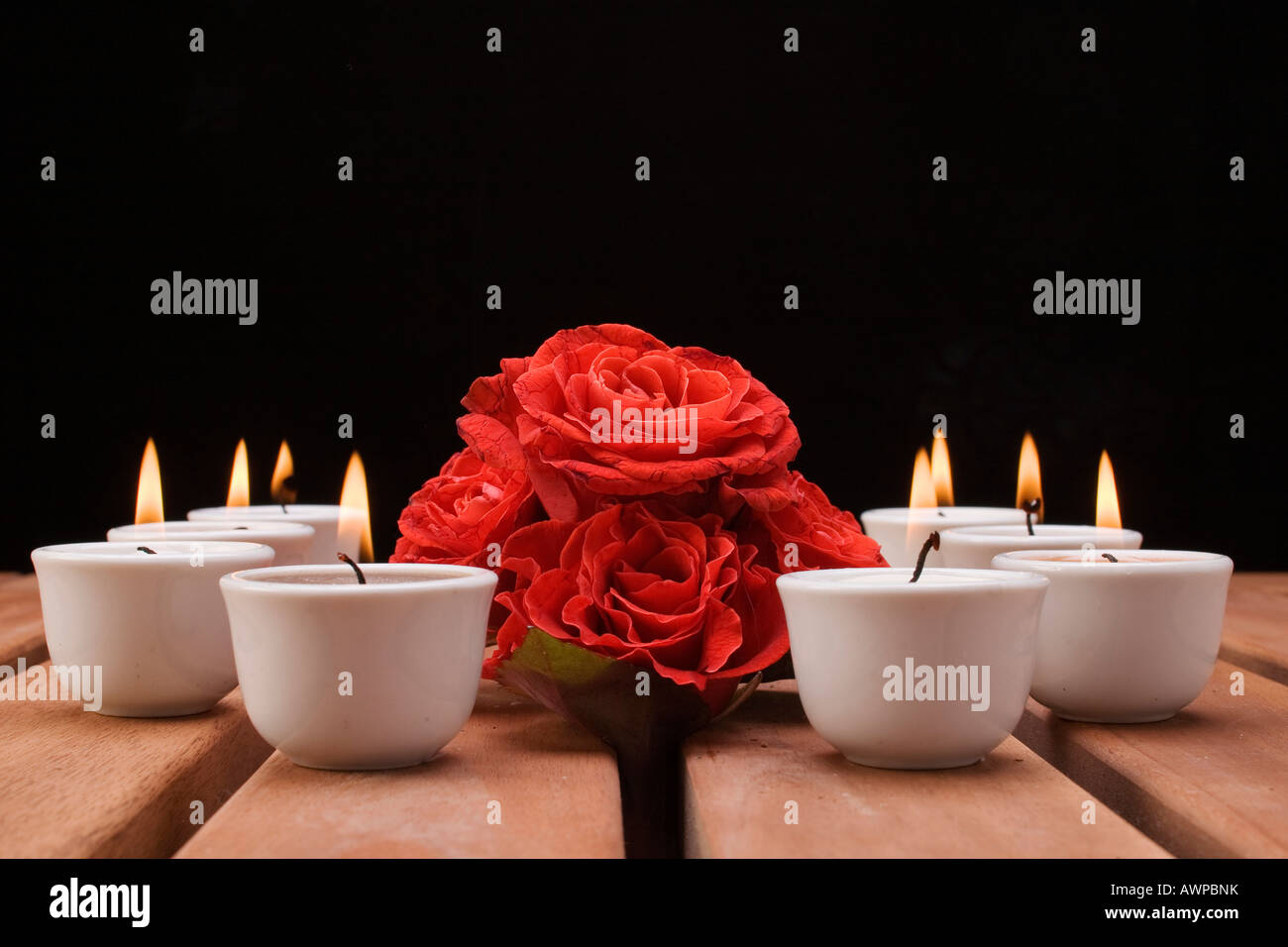 Beam blooms hi-res stock photography and images - Alamy