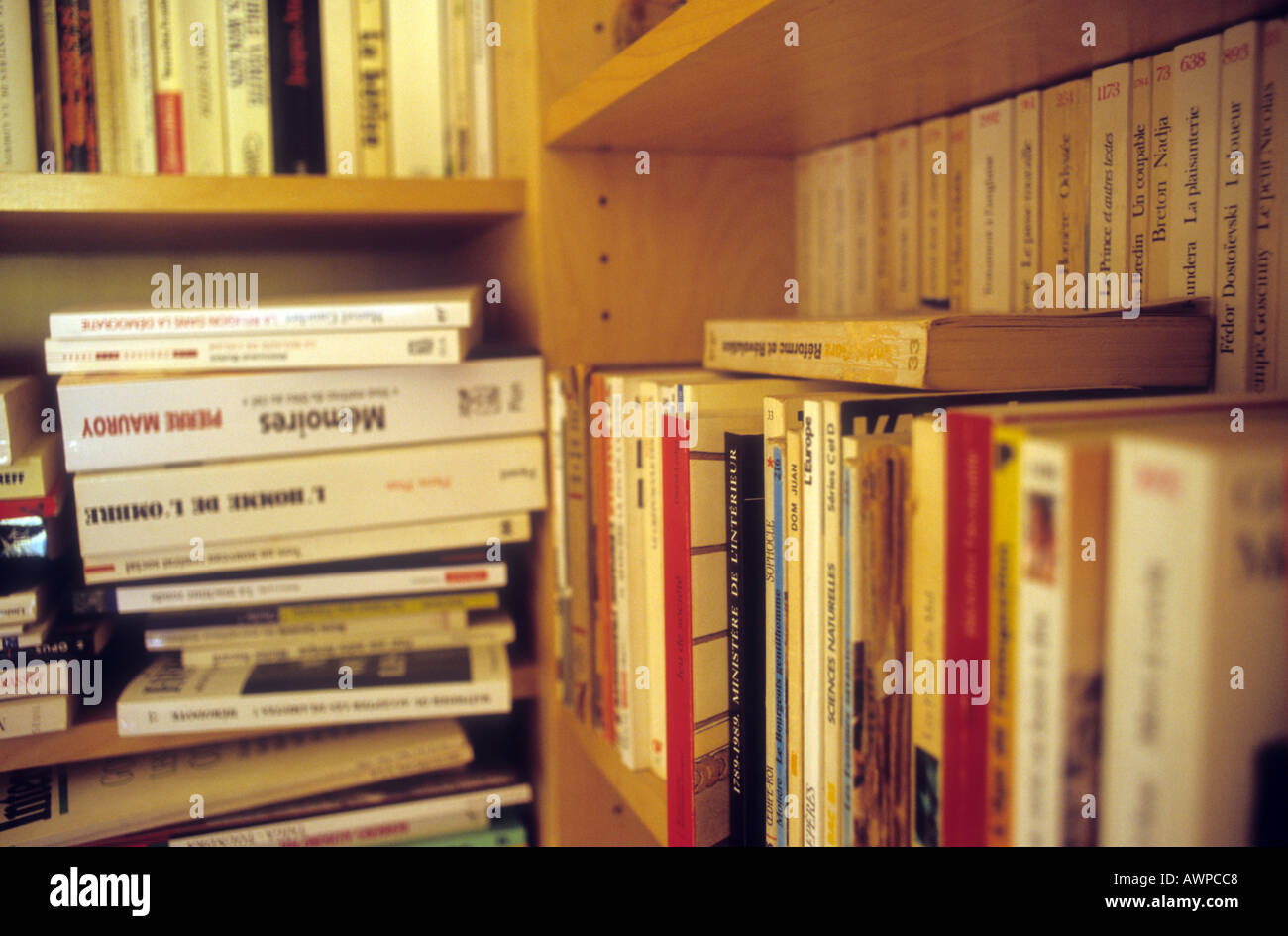 books in library Stock Photo - Alamy