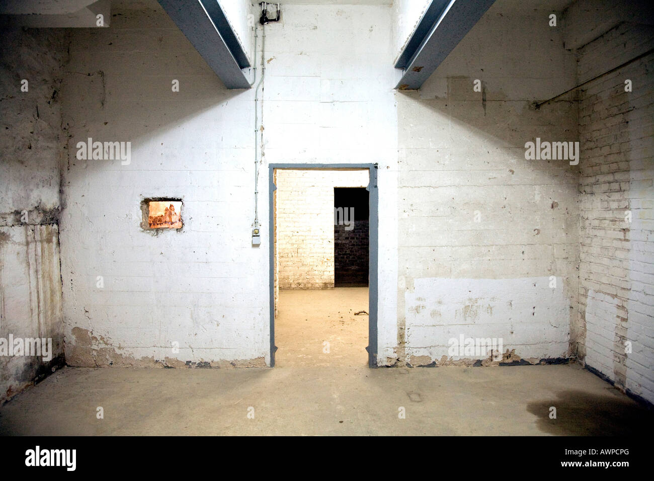 Part of a cellar complex, former NS-Ordensburg Vogelsang (National ...