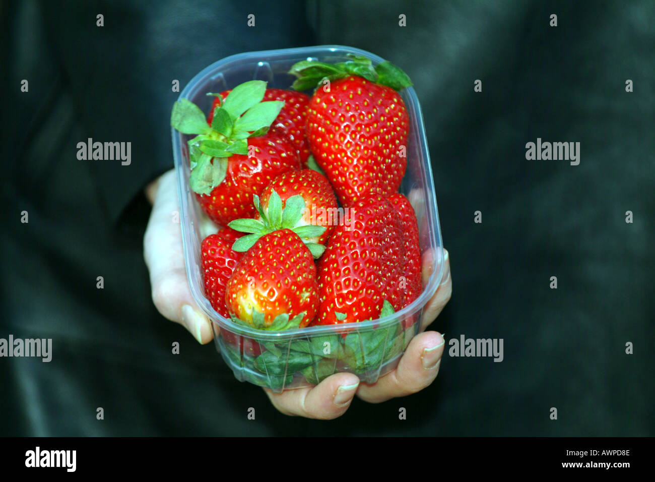 Holding punnet of strawberries hi-res stock photography and images - Alamy