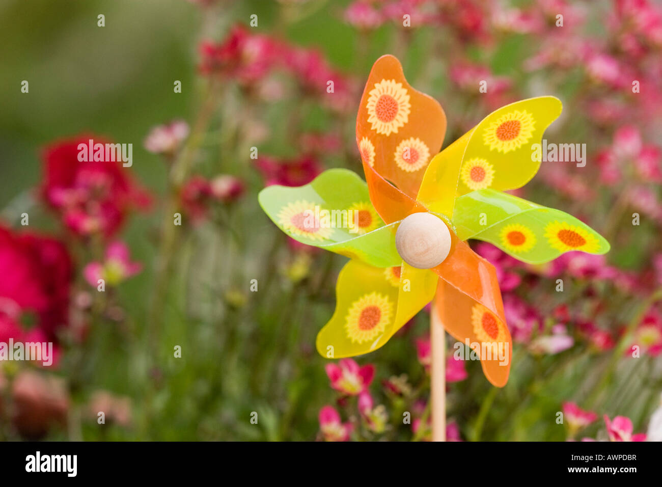 Buntes windrad hi-res stock photography and images - Alamy