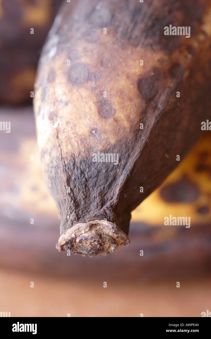 Rotting banana hi-res stock photography and images - Alamy