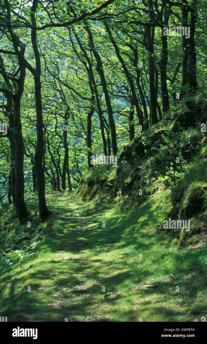 Countisbury_hill hi-res stock photography and images - Alamy