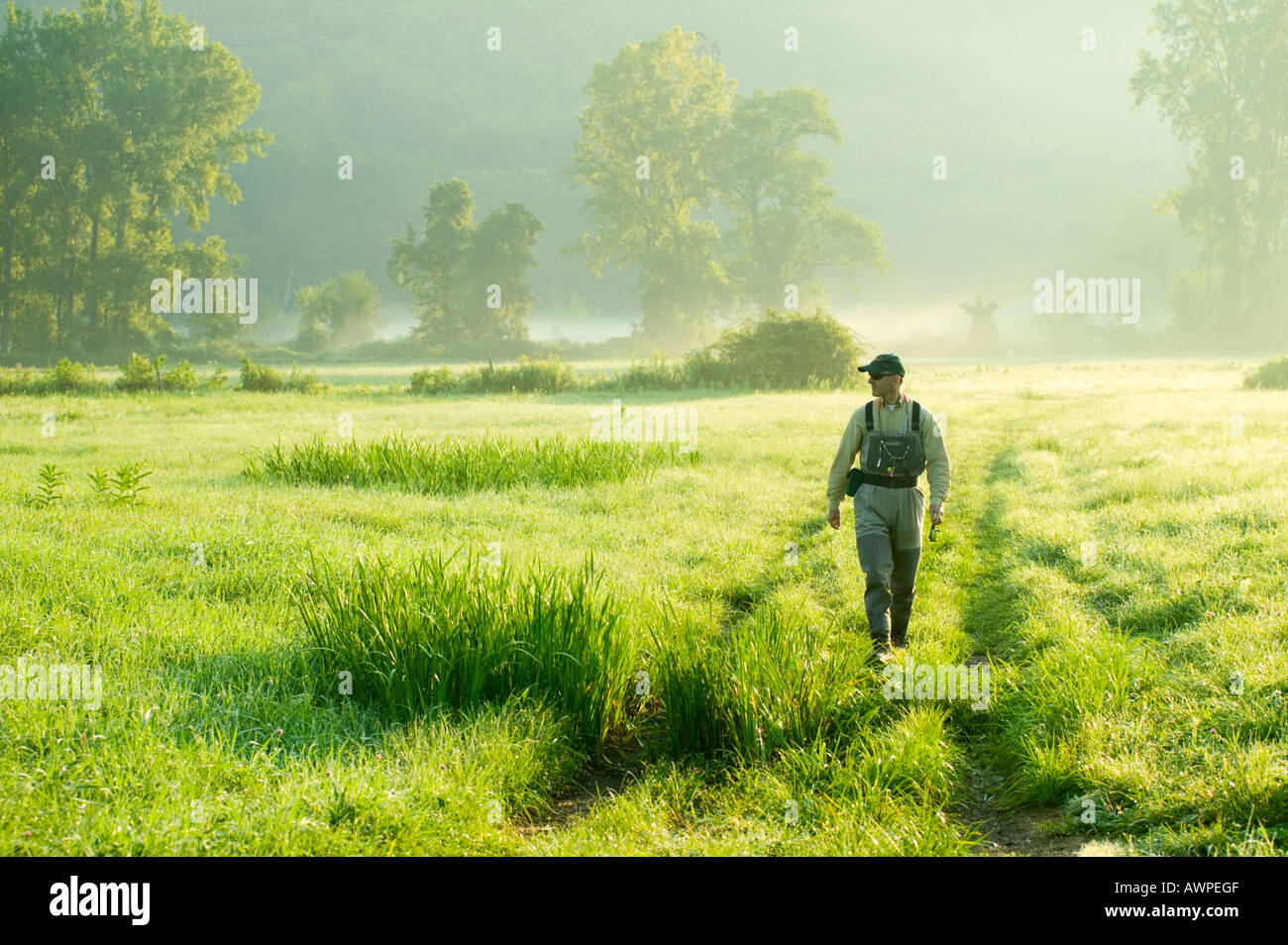 Beaverkill river hi-res stock photography and images - Alamy