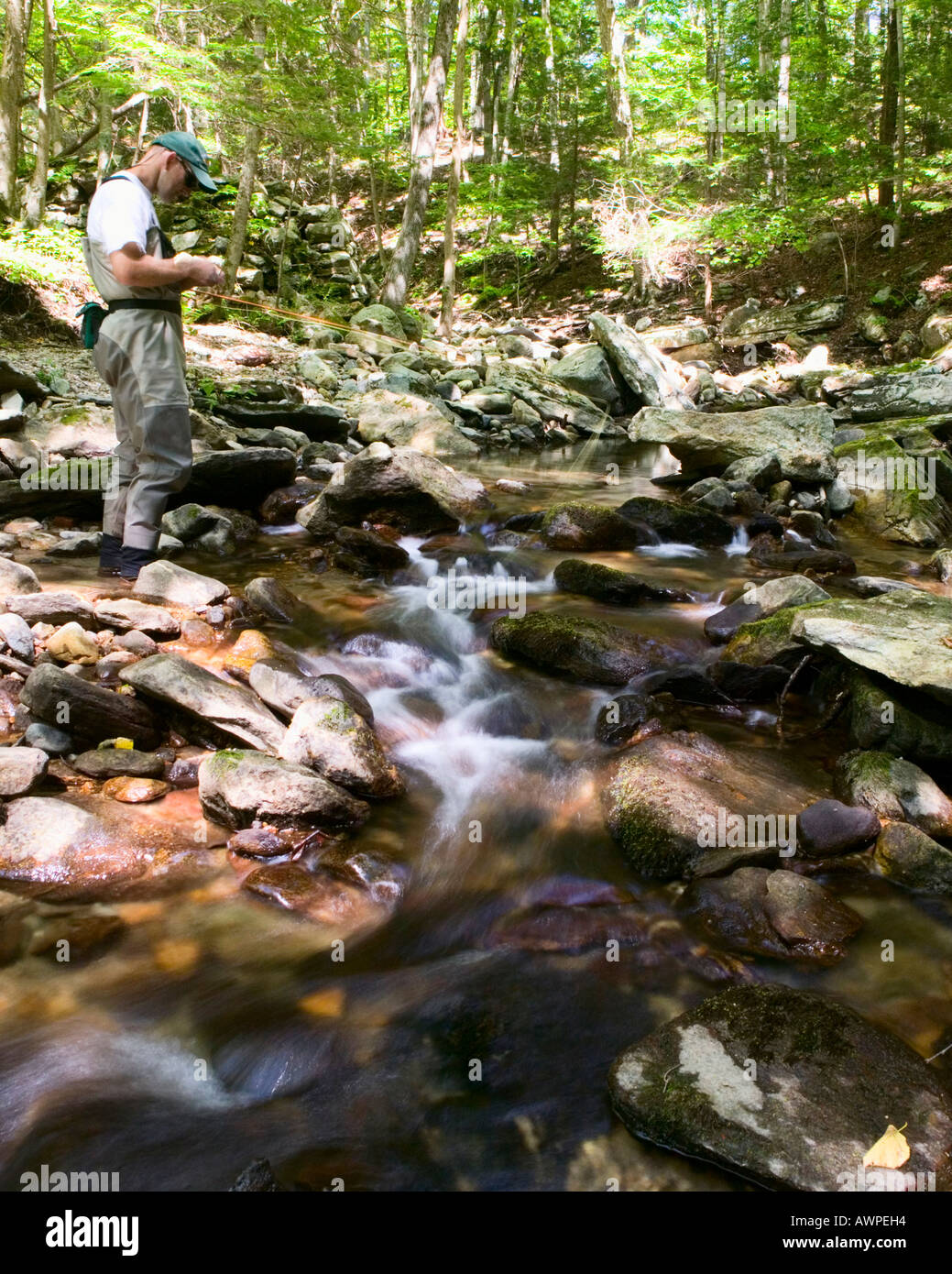 Beaverkill River Stock Photos & Beaverkill River Stock Images - Alamy