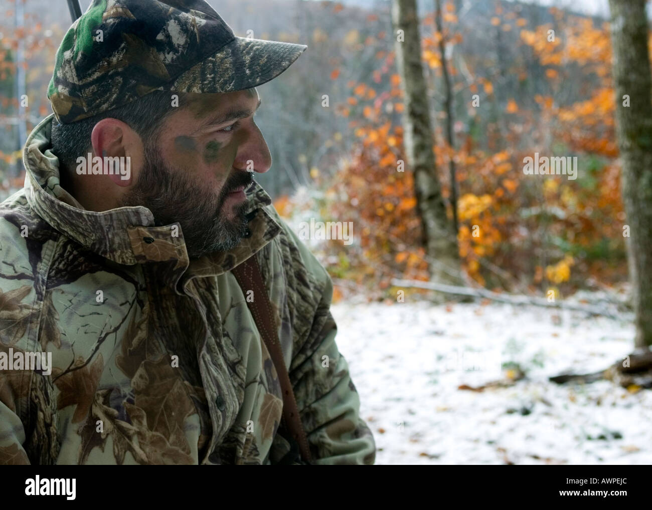 Moose chase hi-res stock photography and images - Alamy