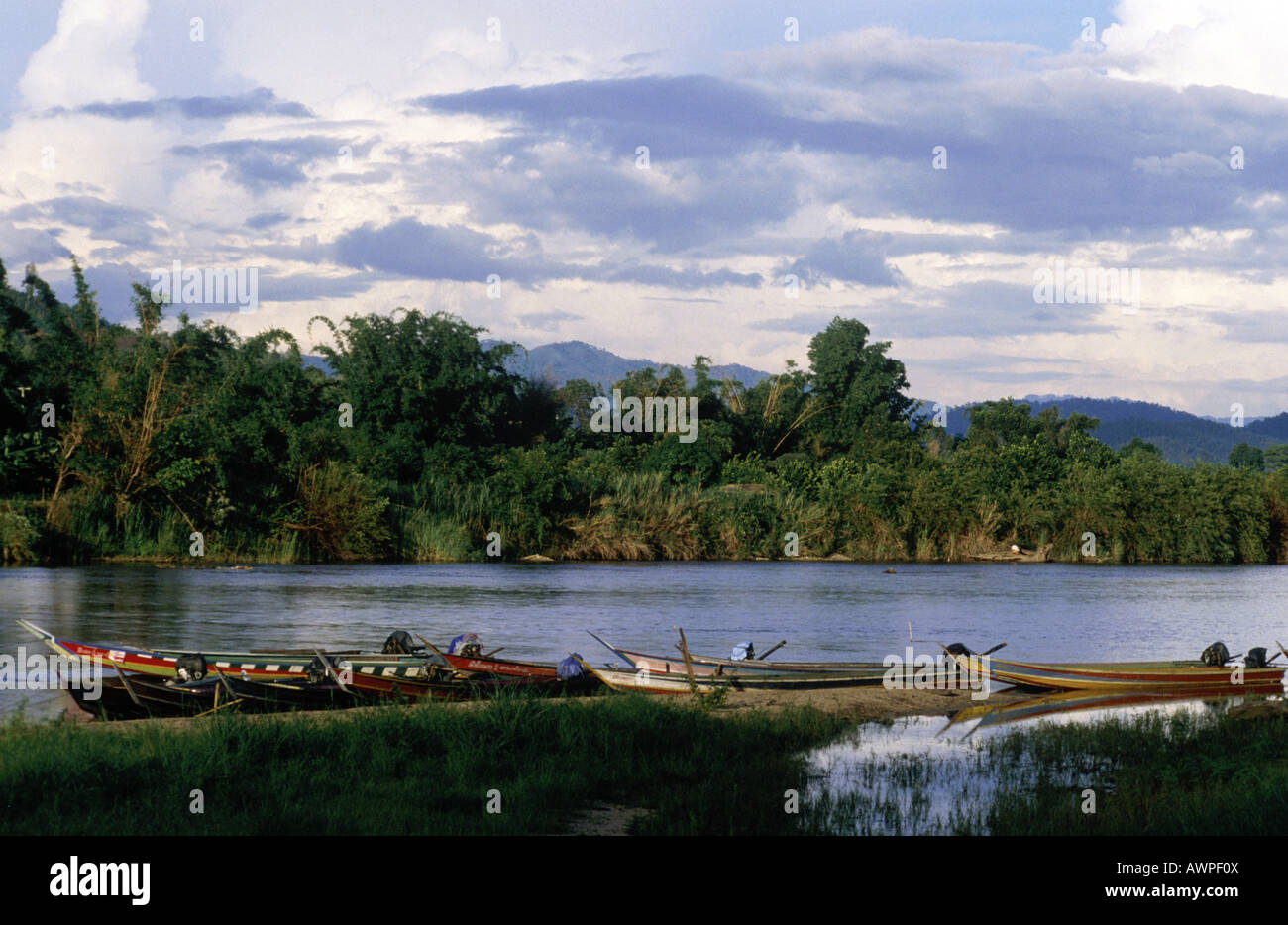 Tha Ton. Burma/ Myanmar border. Thick trees vegetation on river bank ...