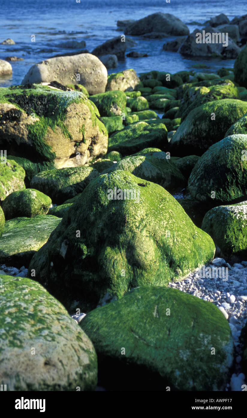 Large stones uk spring hi-res stock photography and images - Alamy
