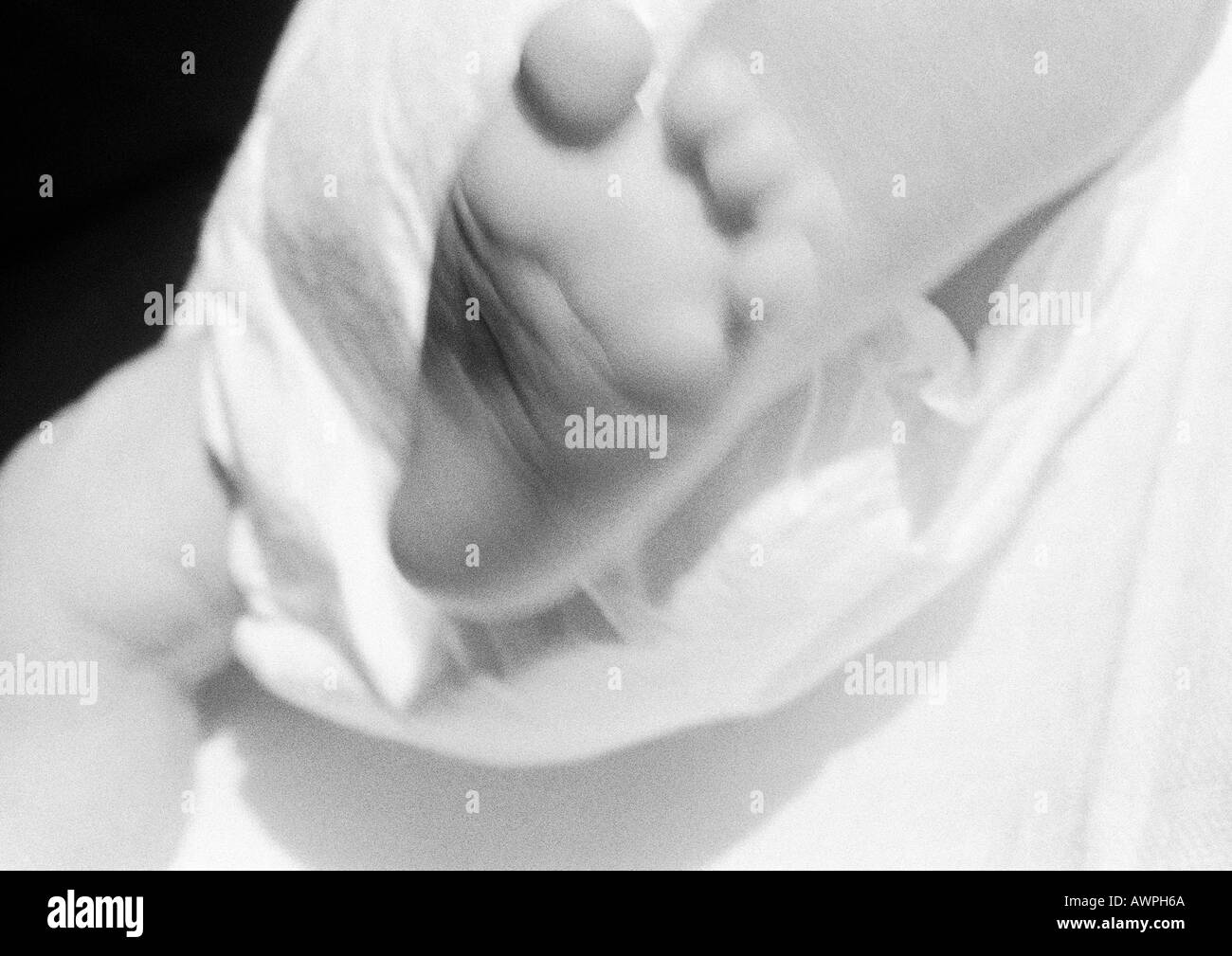 Baby's foot, close-up, b&w Stock Photo - Alamy