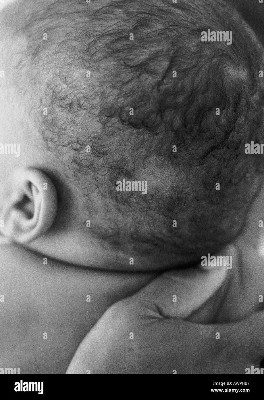 Baby with adult hand on back, rear view, close-up, b&w Stock Photo - Alamy