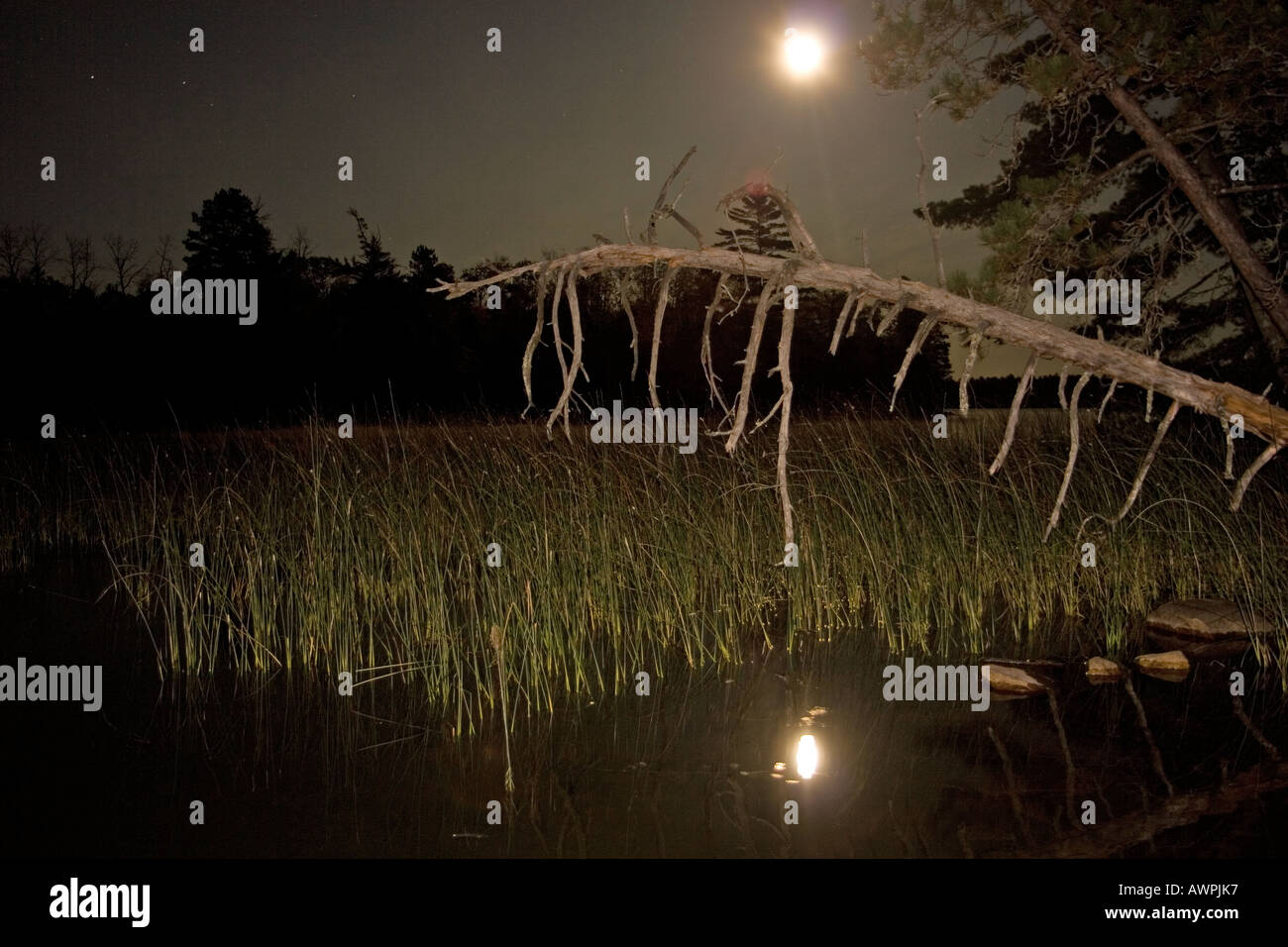 enchanted evening on the lake Stock Photo - Alamy