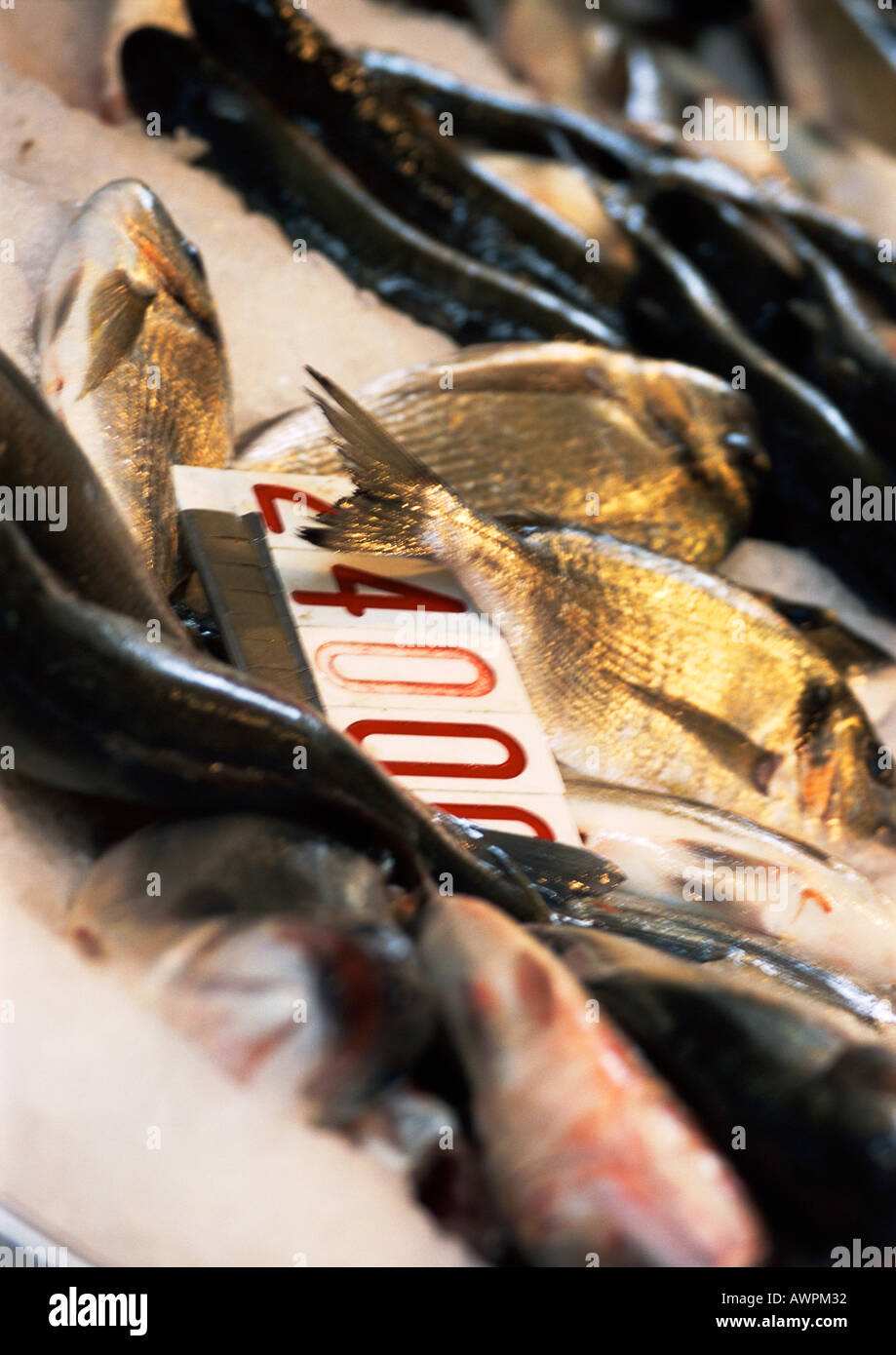 Fish on ice in fish market, close-up Stock Photo - Alamy
