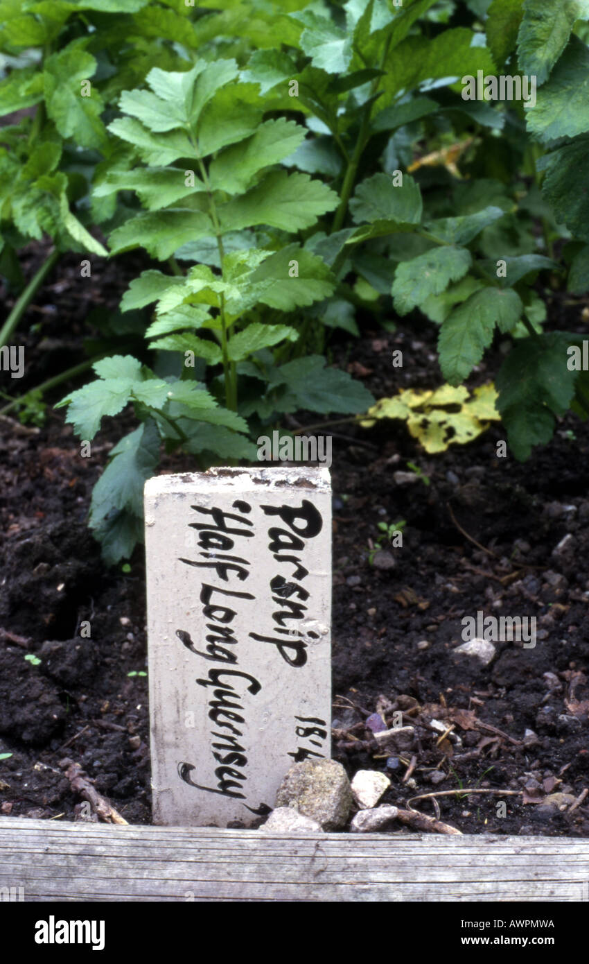 Wooden plant hand written hand written vegetables garden hi-res stock ...