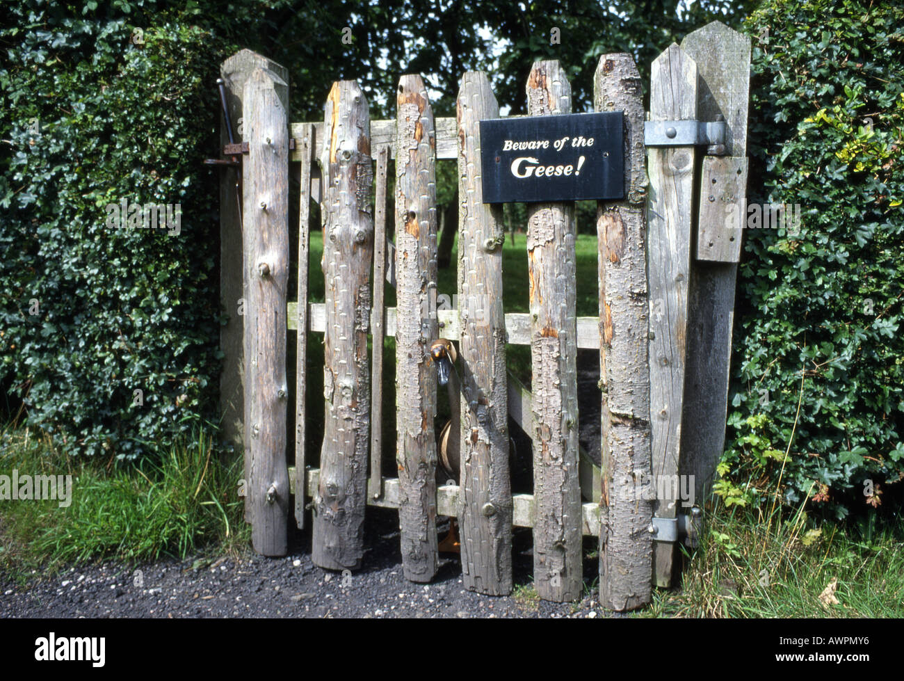 Orchard gate, 'Beware of the Geese' sign, Chinese goose guard, Cheshire ...