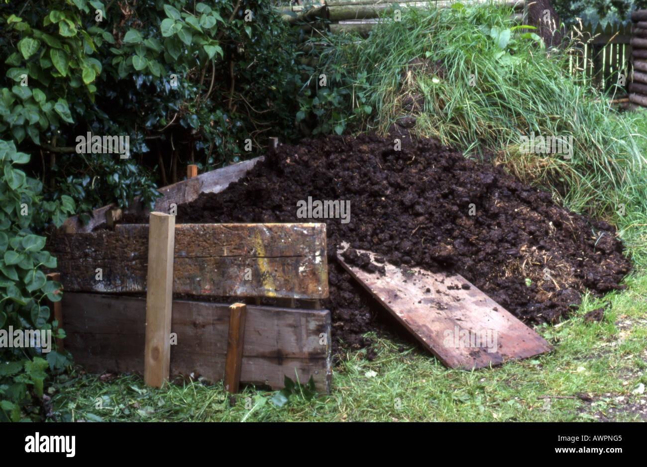 Heap of well-rotted farmyard manure, traditional source of organic ...