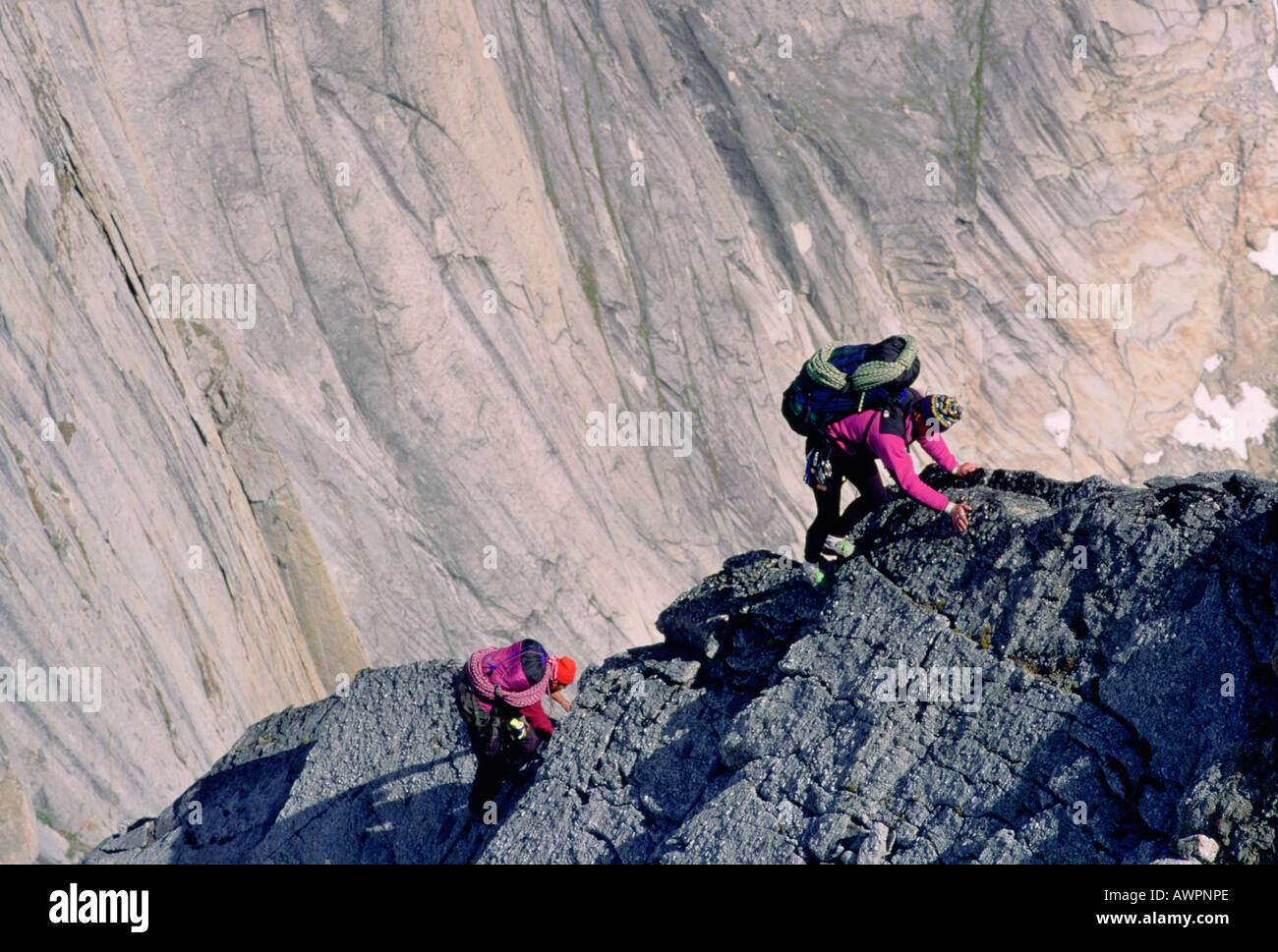 Summit ridge of Mt Proboscis Cirque of the Unclimbables Northwest ...