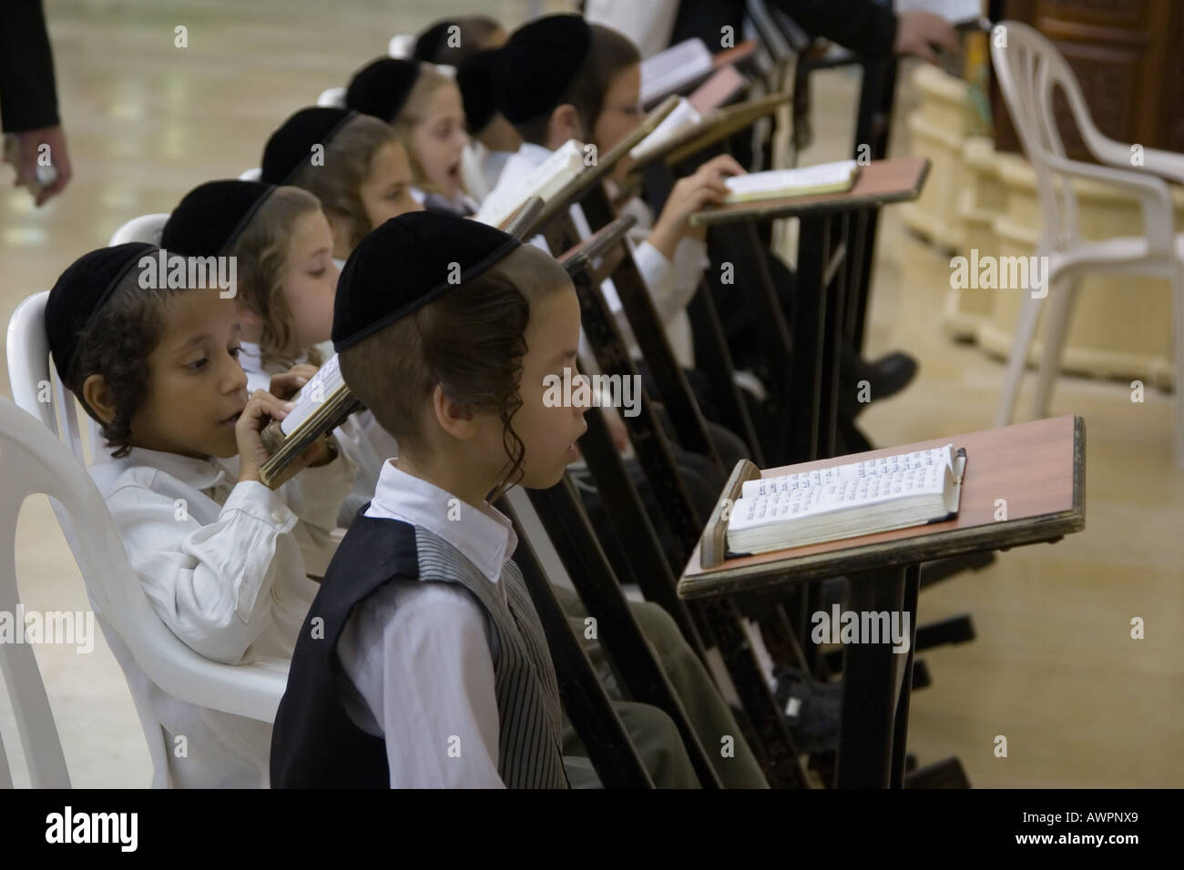 Stock Photo of a Row of Young Jewish Boys Praying at The Wailing Wall ...