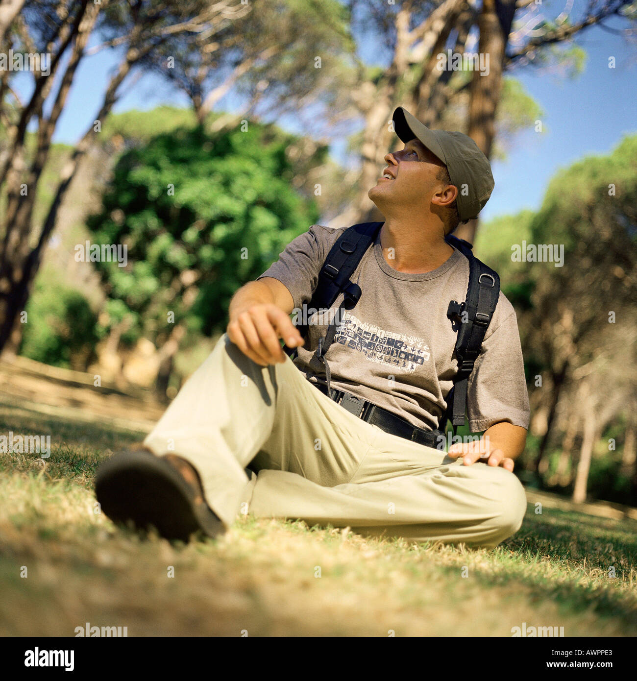 Man sitting on grass in forest, looking up Stock Photo - Alamy