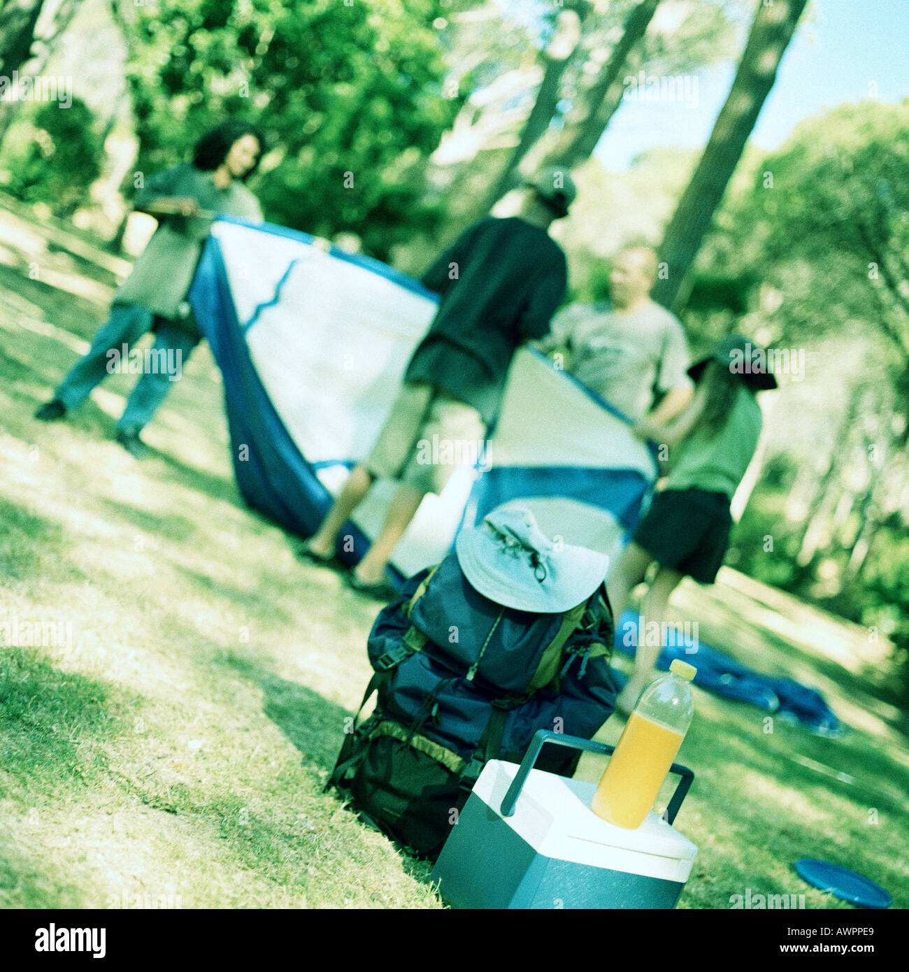 Family setting up tent Stock Photo - Alamy Family setting up tent Stock Photo - Alamy