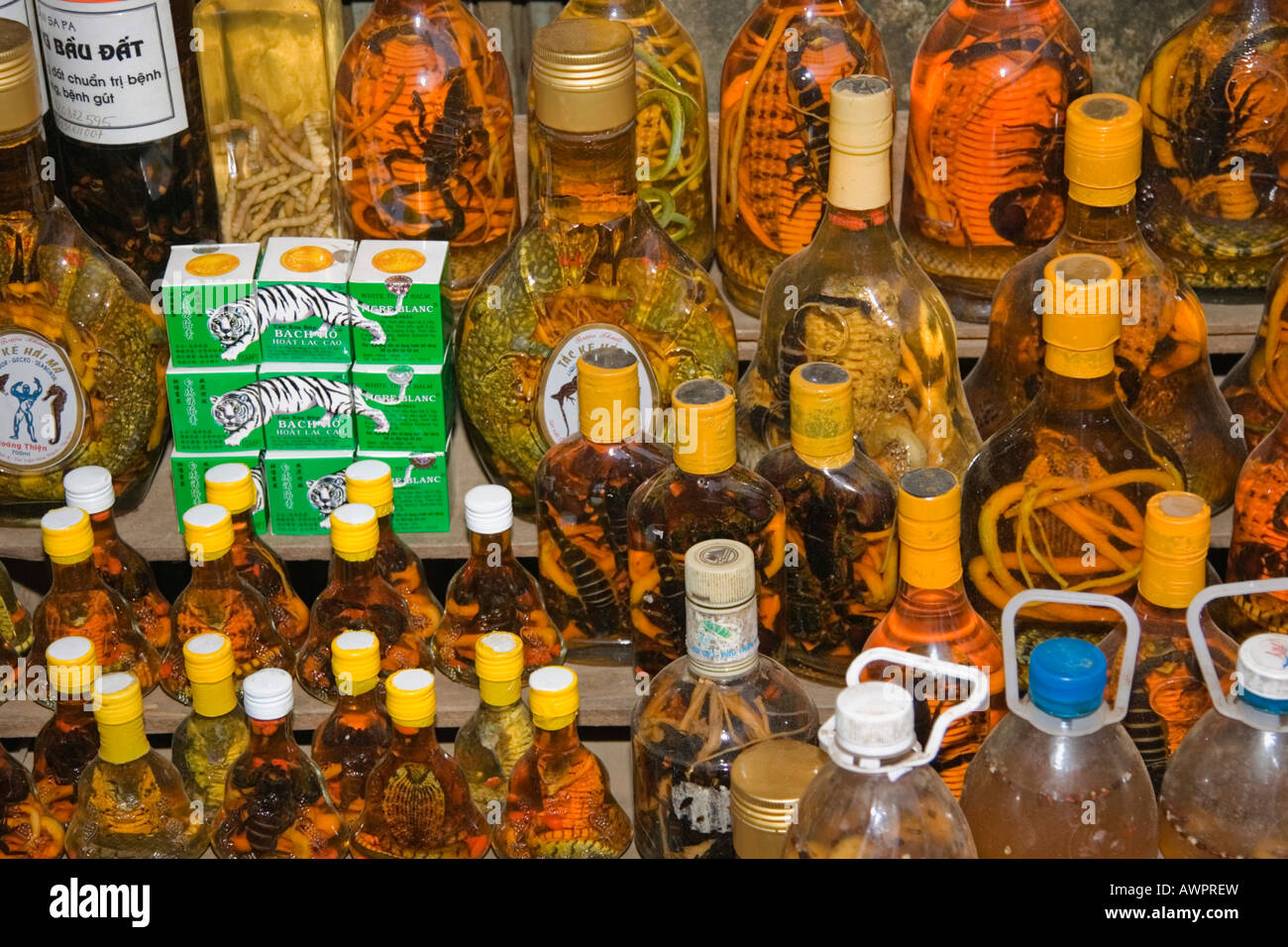 Elixirs for health, Vietnam, Asia Stock Photo - Alamy