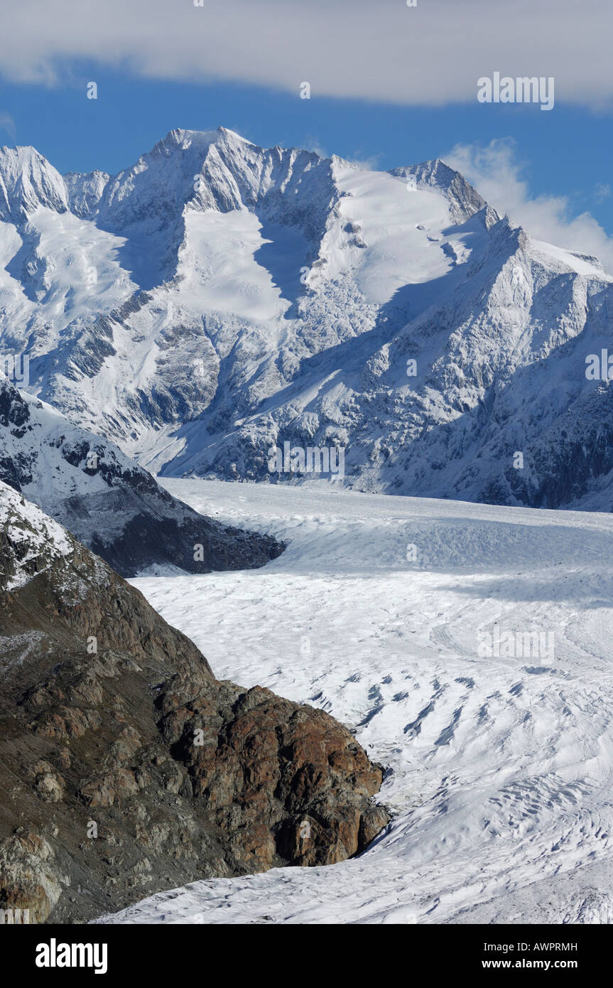 Big Aletsch glacier in front of snowy mountains in the Aletsch area ...