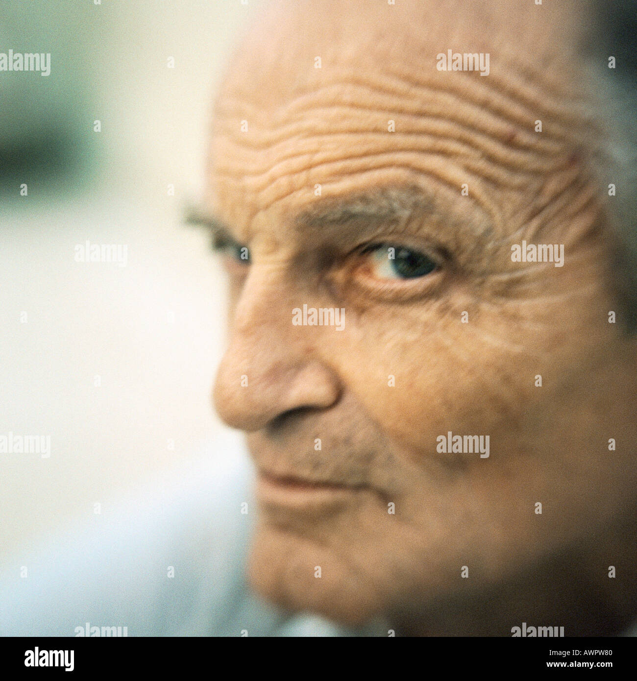 Profile of senior man Stock Photo - Alamy