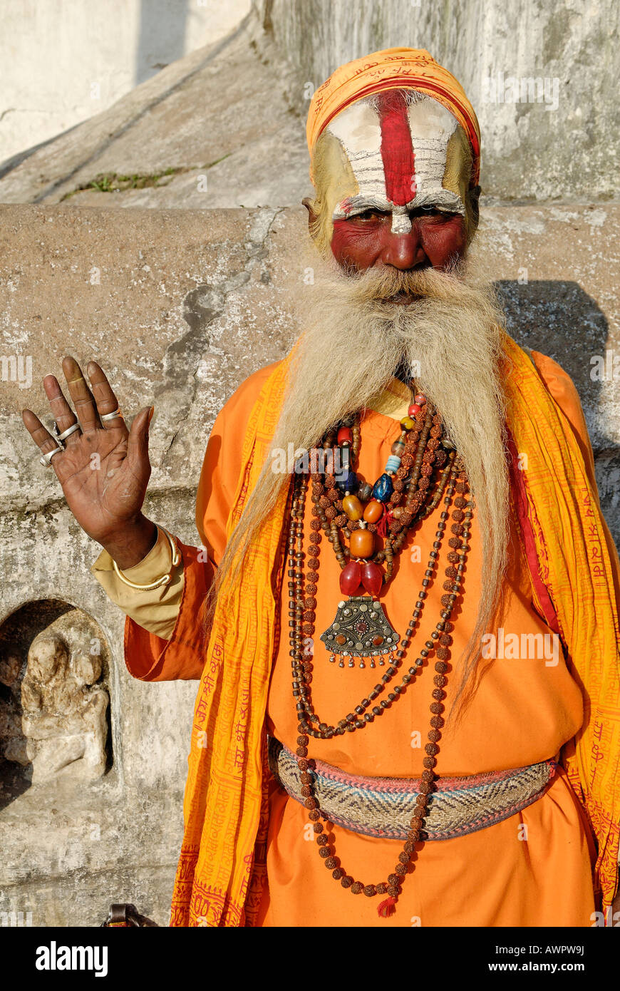 Sadhu, holy man, Pashupatinath, Kathmandu, Nepal Stock Photo - Alamy