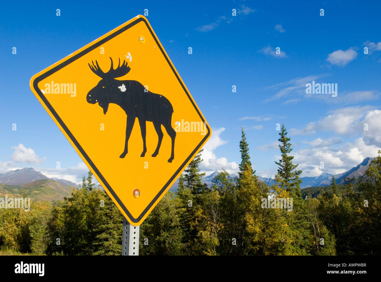 Elch warnschild hi-res stock photography and images - Alamy