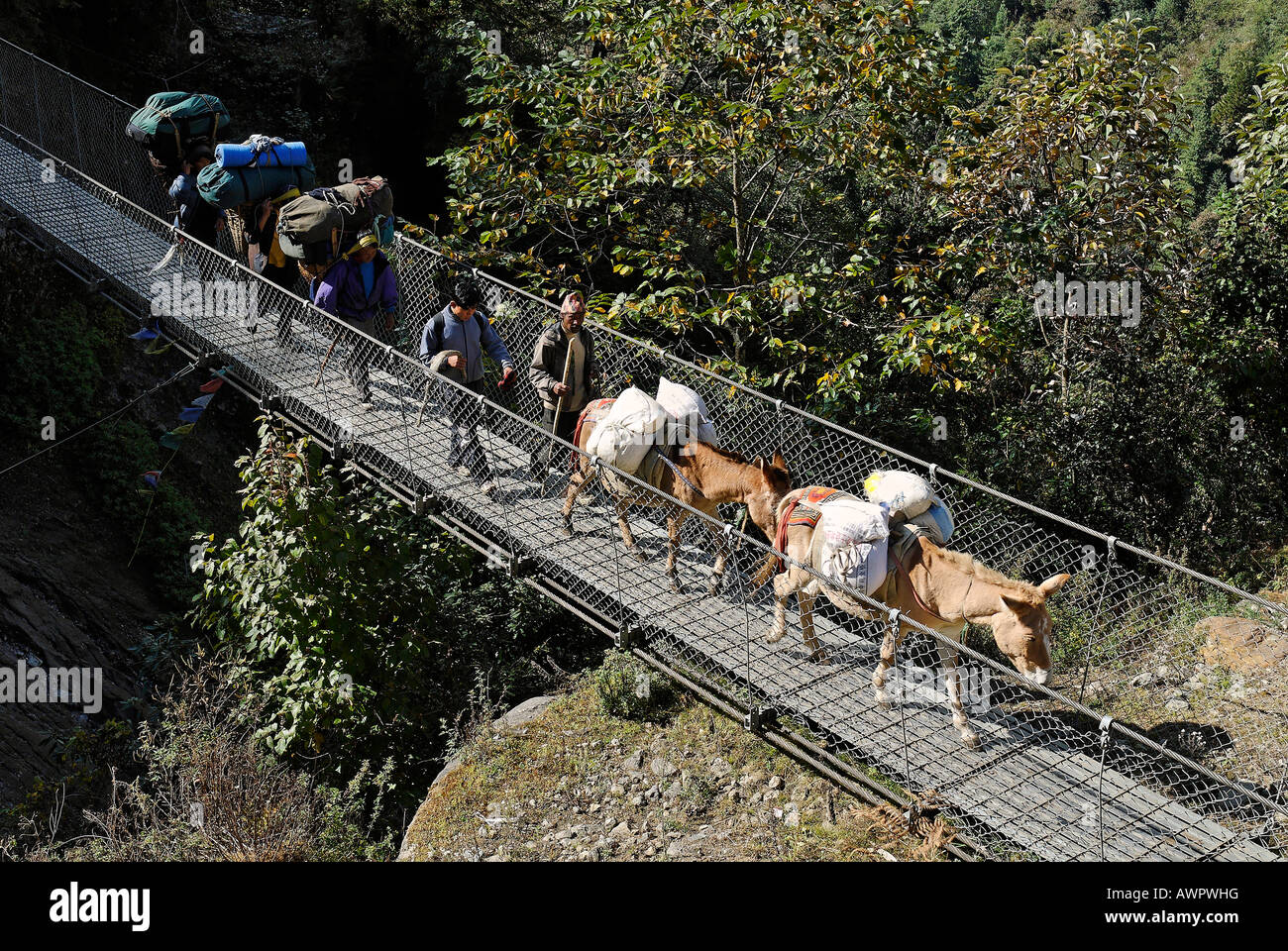 Swing bridge made of steel over Dudh Koshi river, Solukhumbu, Khumbu ...