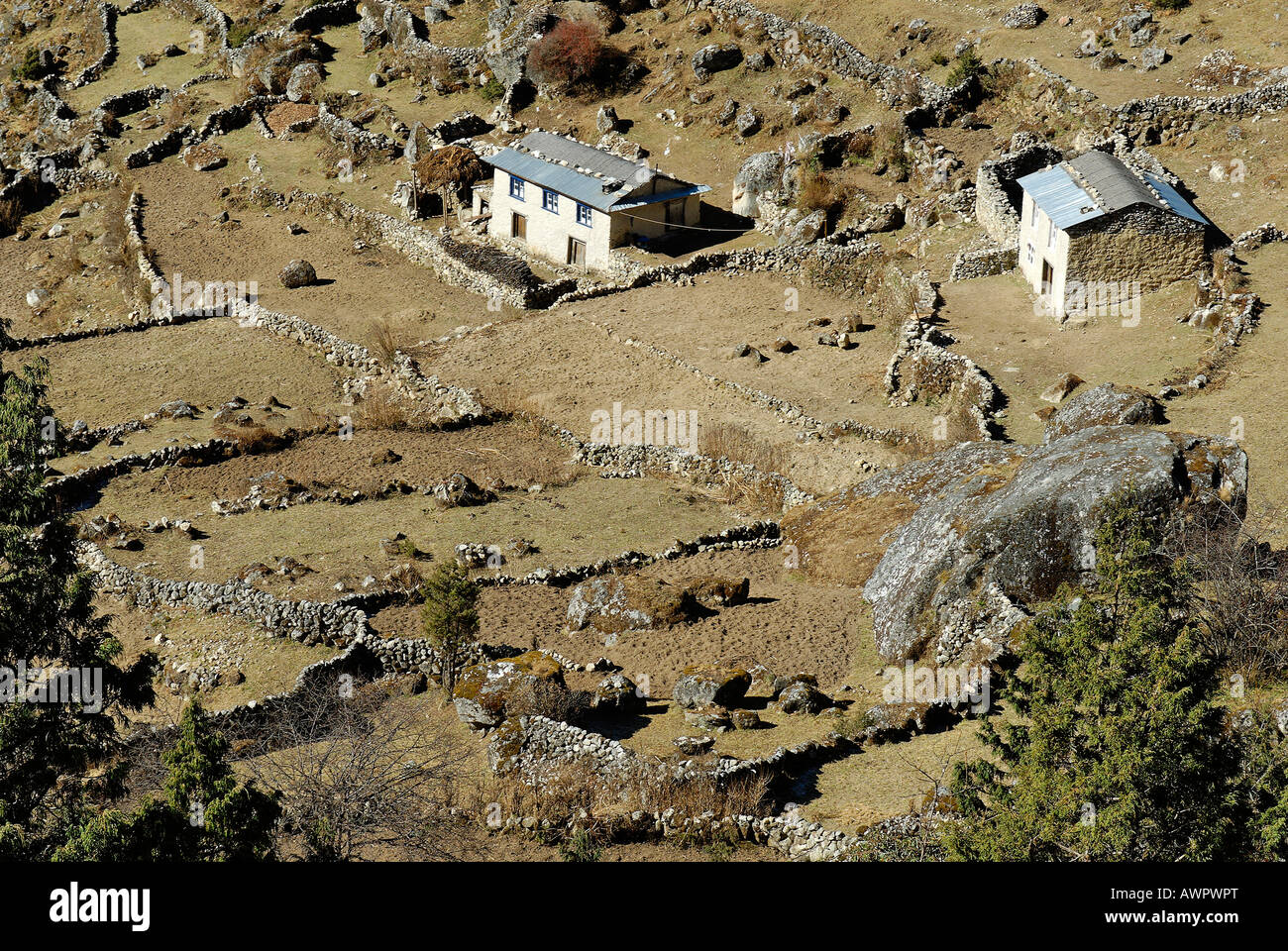 Sherpa farm at Bhote Koshi valley, Solukhumbu, Khumbu, Mount Everest ...
