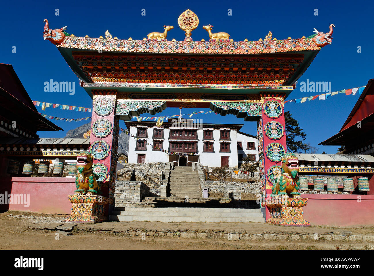 Nepal tor hi-res stock photography and images - Alamy