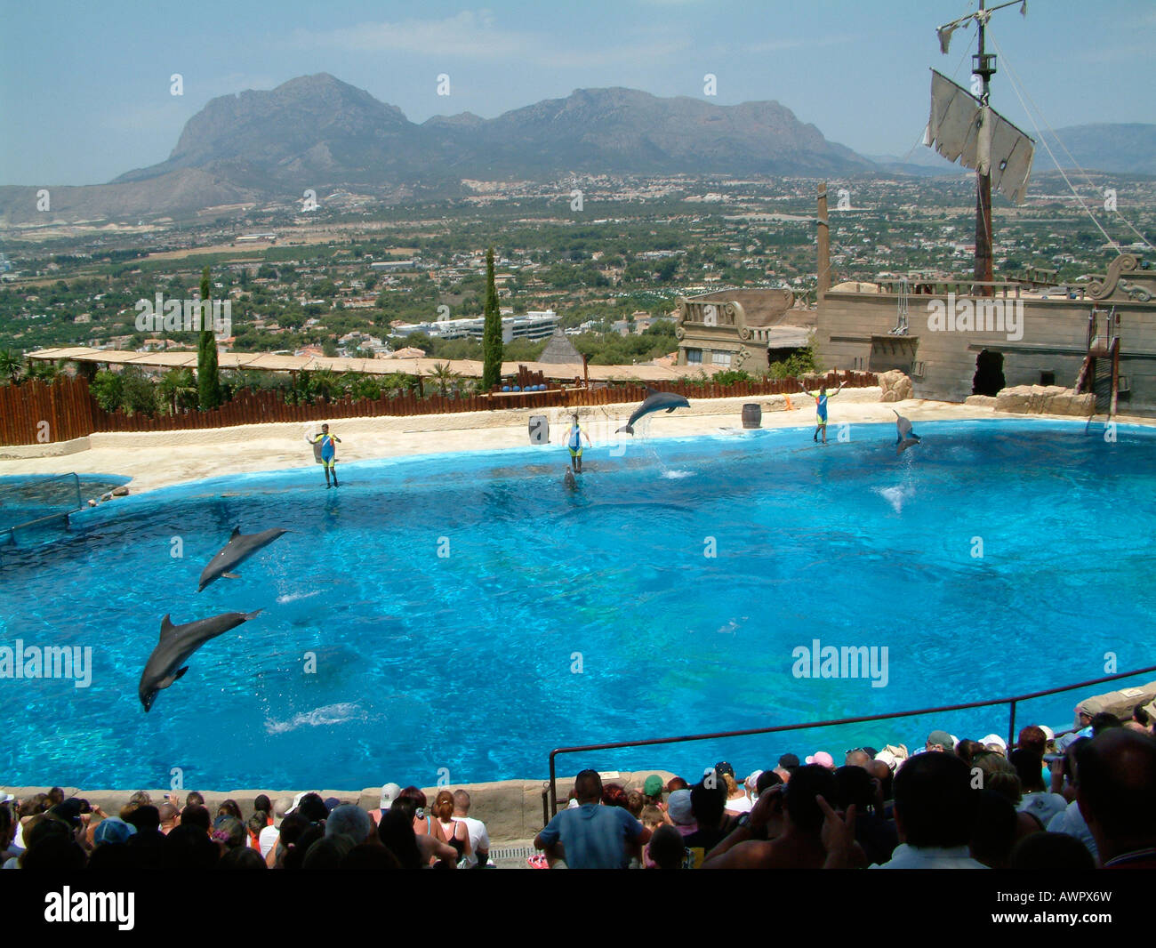 Dolphin Show, Mundomar, Benidorm, Alicante Province, Spain Stock Photo ...
