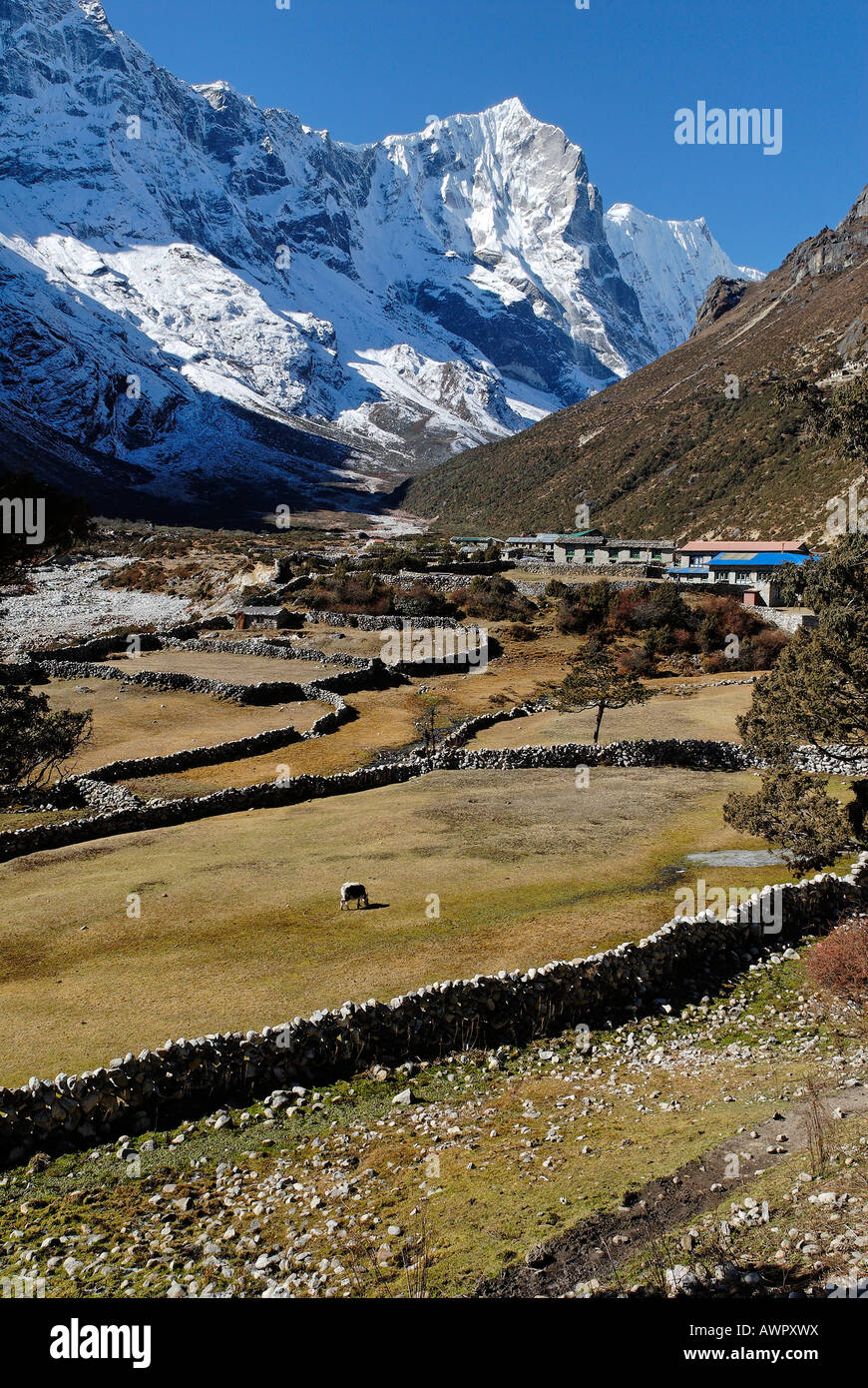 Bhote village hi-res stock photography and images - Alamy