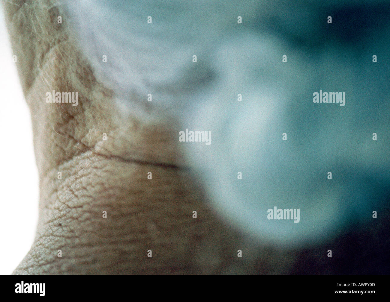 Woman only elderly rear view hi-res stock photography and images - Alamy