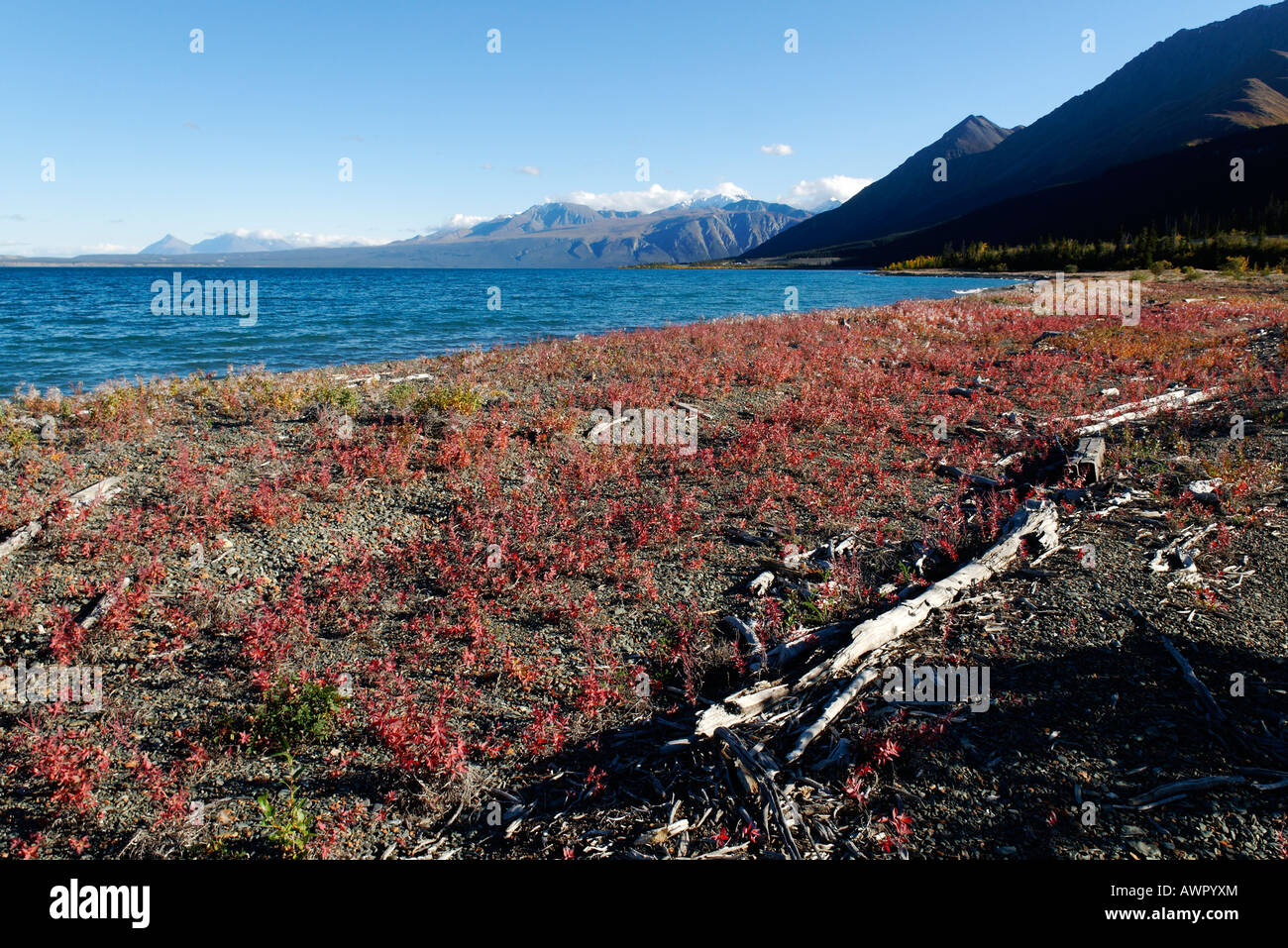 Kluane Lake High Resolution Stock Photography and Images - Alamy