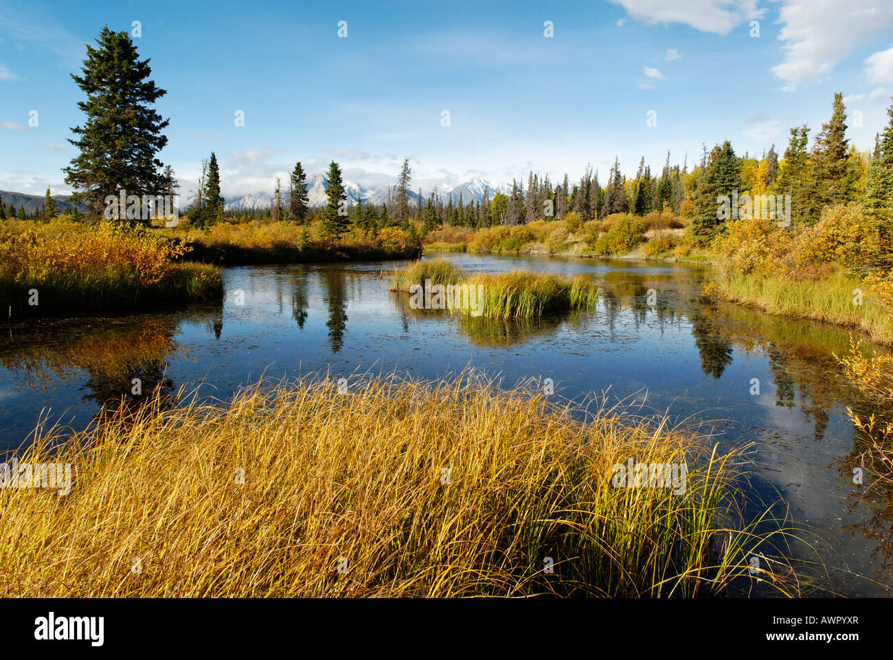 Jarvis River, Kluane National Park, Yukon Territory, Canada Stock Photo ...