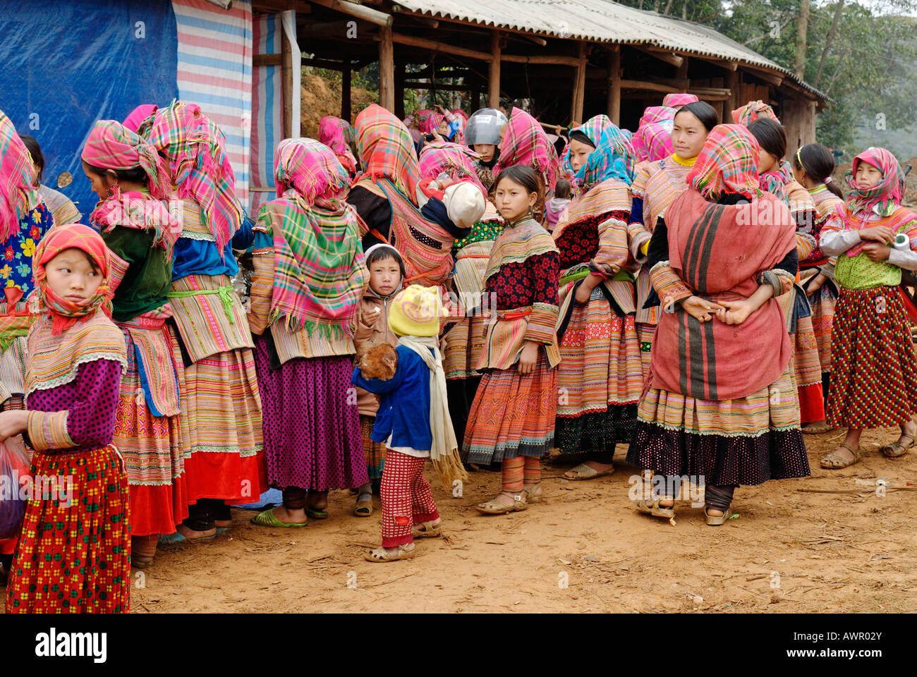 Woman of the Flower Hmong on a market, Ha Giang Province, northern ...