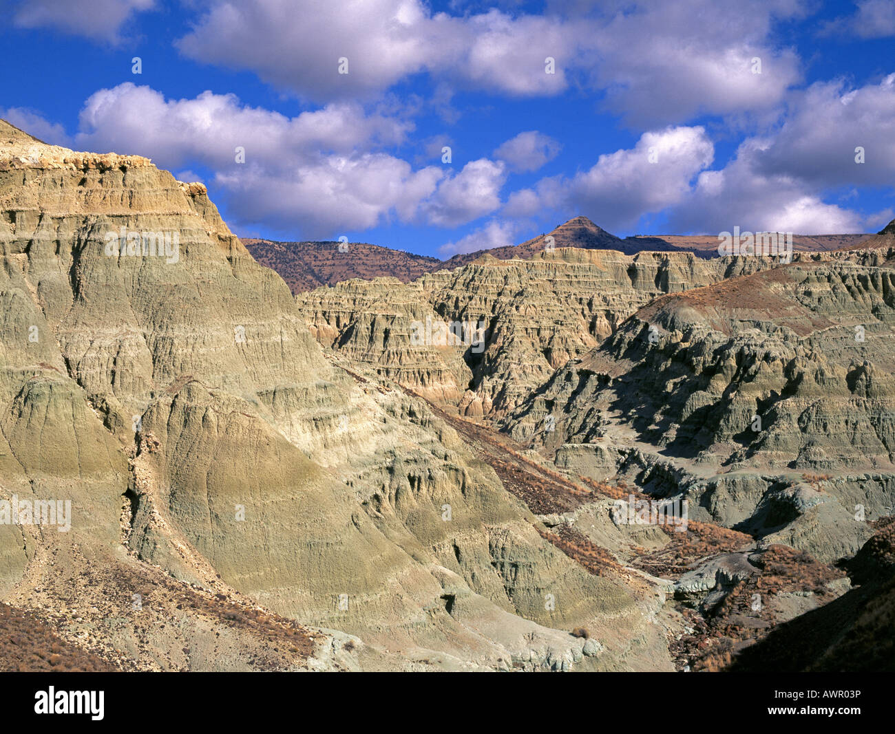 John day fossil bed national monument hi-res stock photography and ...