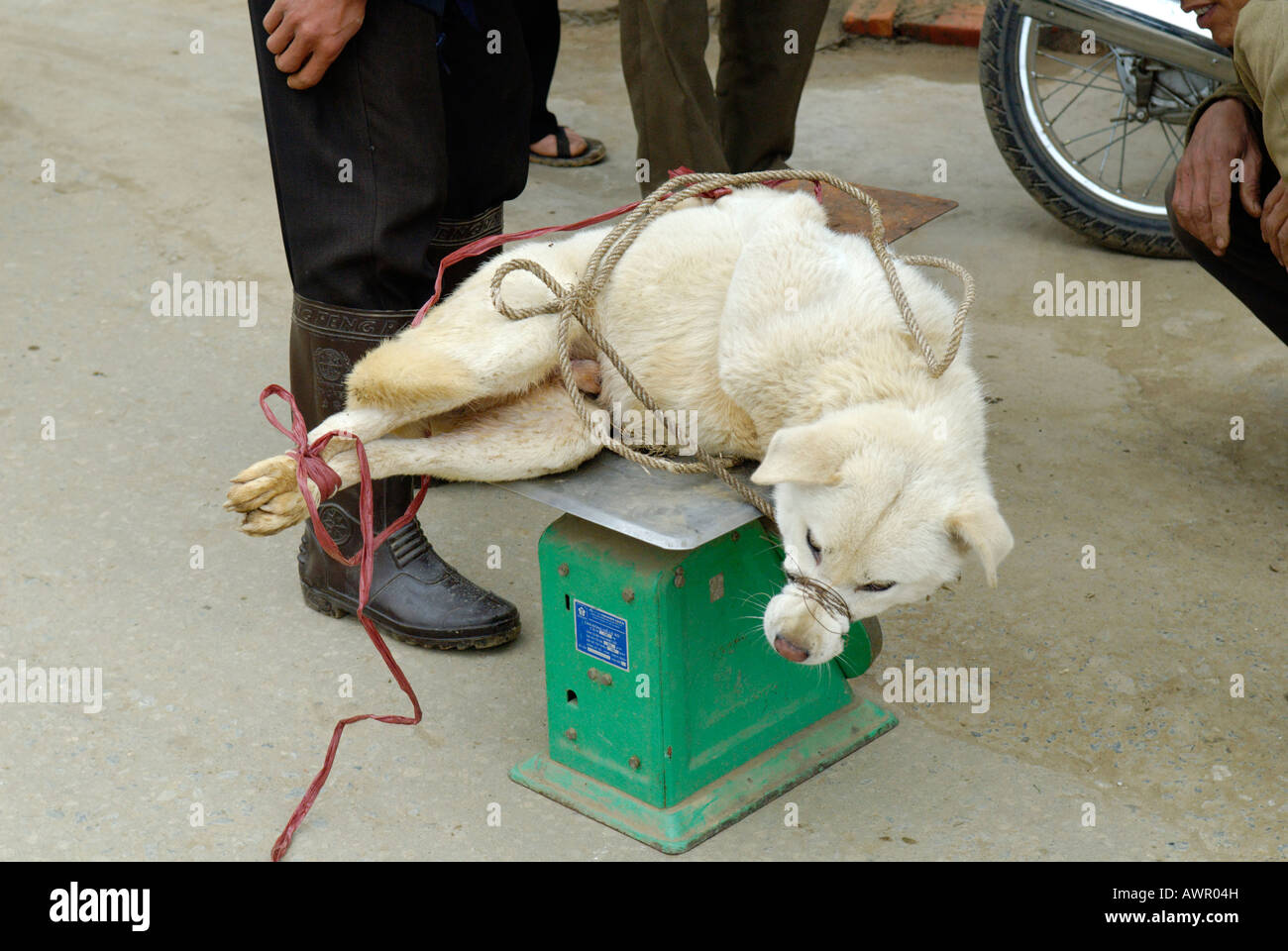 Shackled hi-res stock photography and images - Alamy